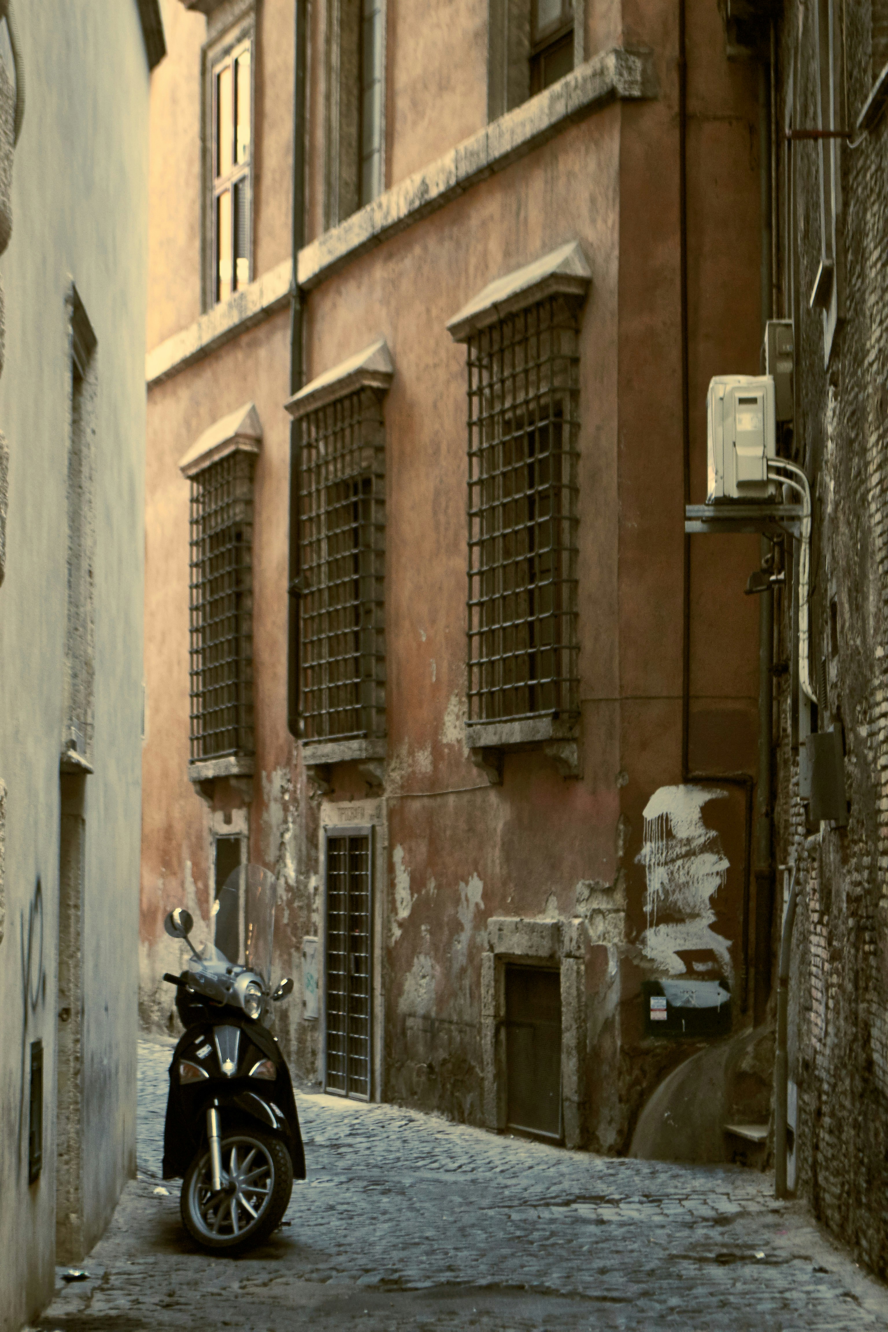 Photo by Stef Joy with Nikon D3100