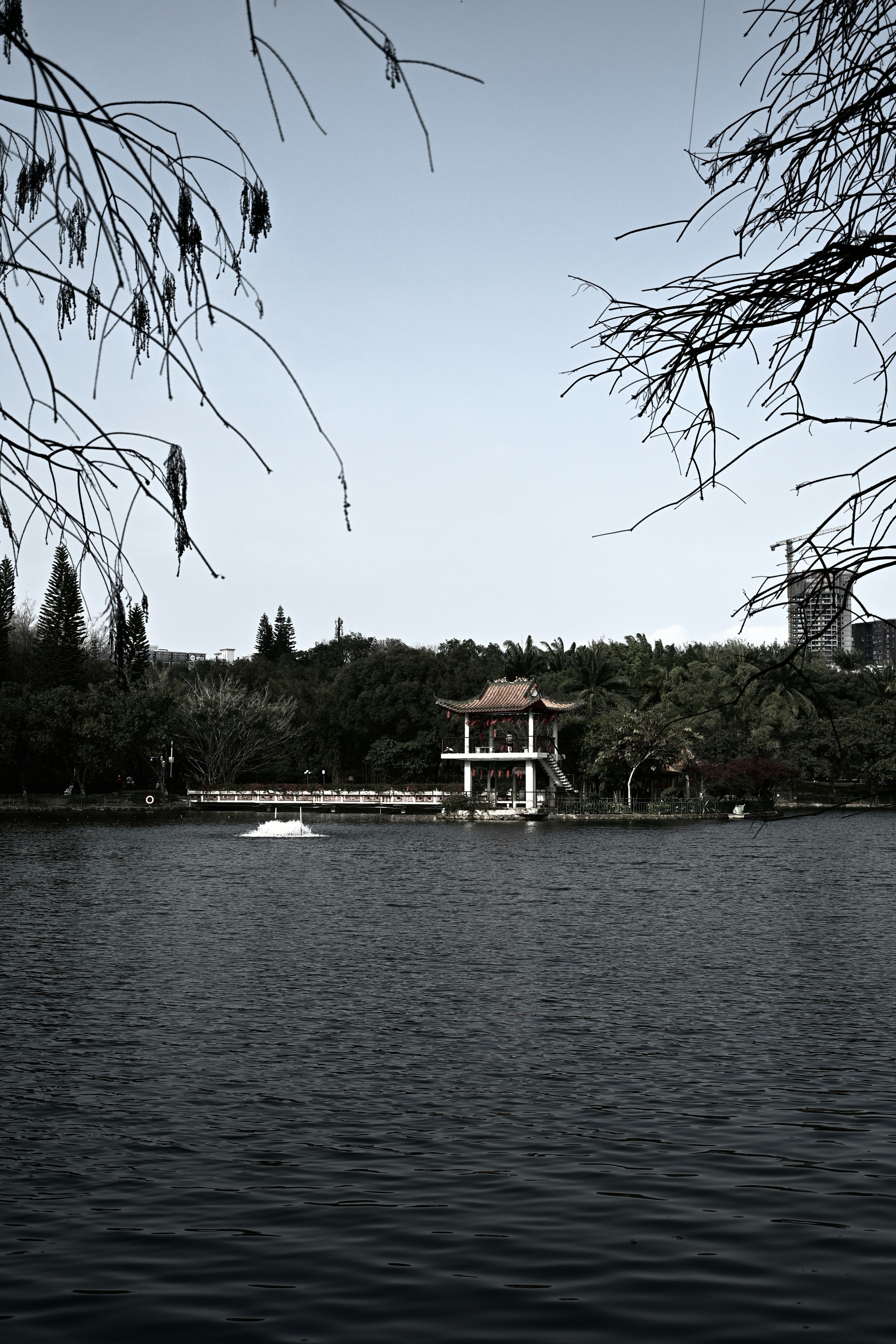 Still Water, a Quiet Pavilion Framed by Weeping Branches