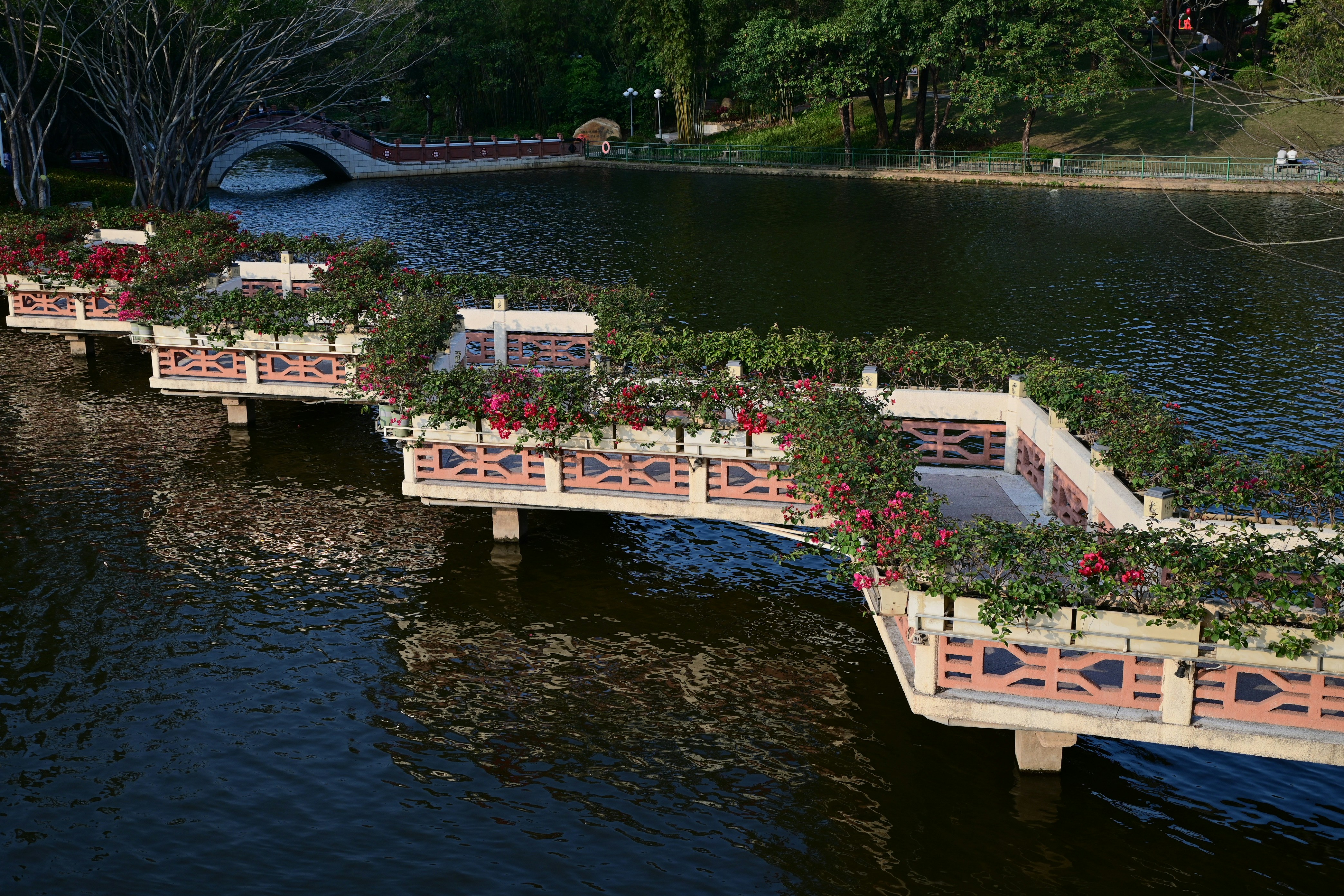 a group of benches with plants on them
