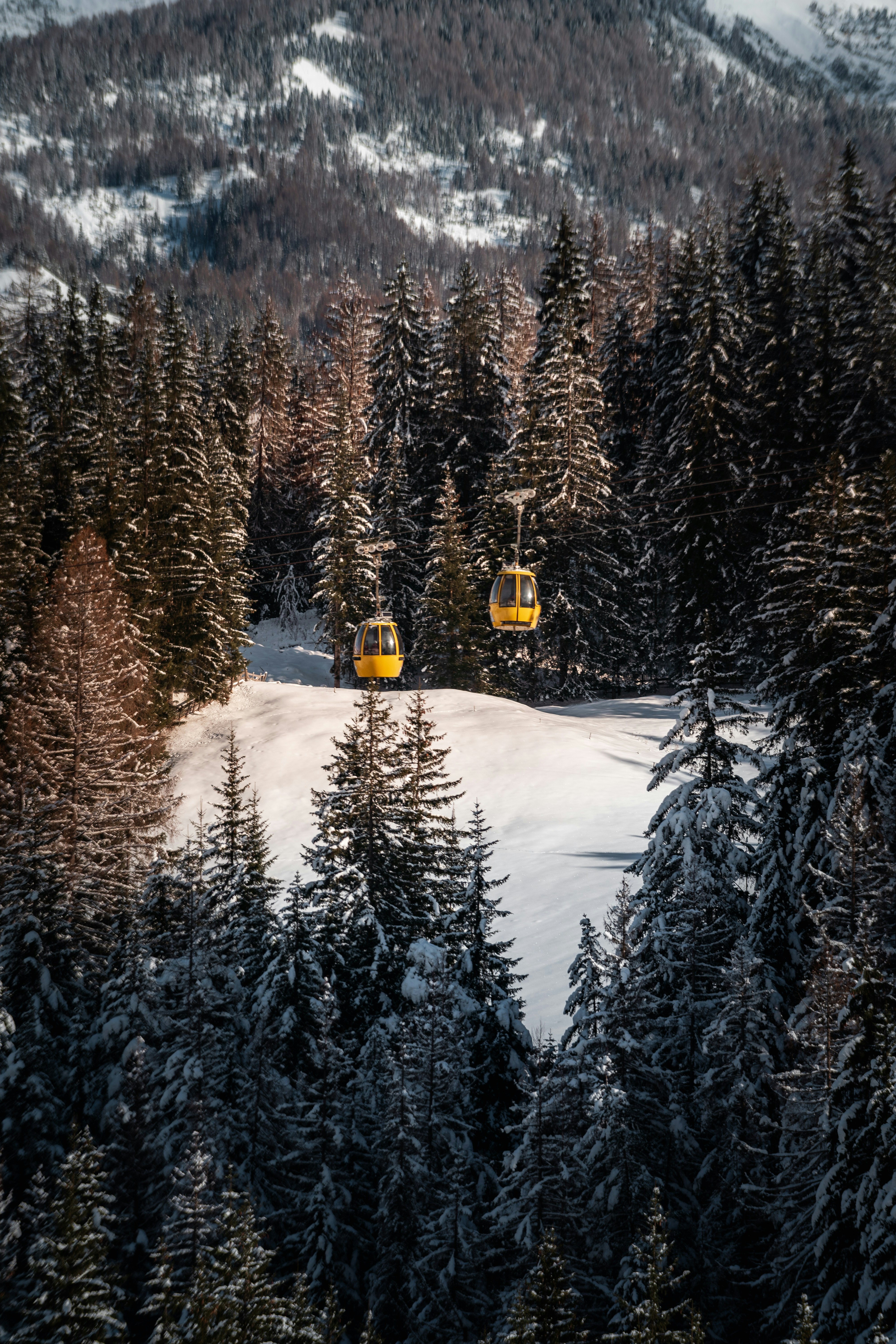 Un paio di treni gialli che attraversano una foresta innevata foto ...