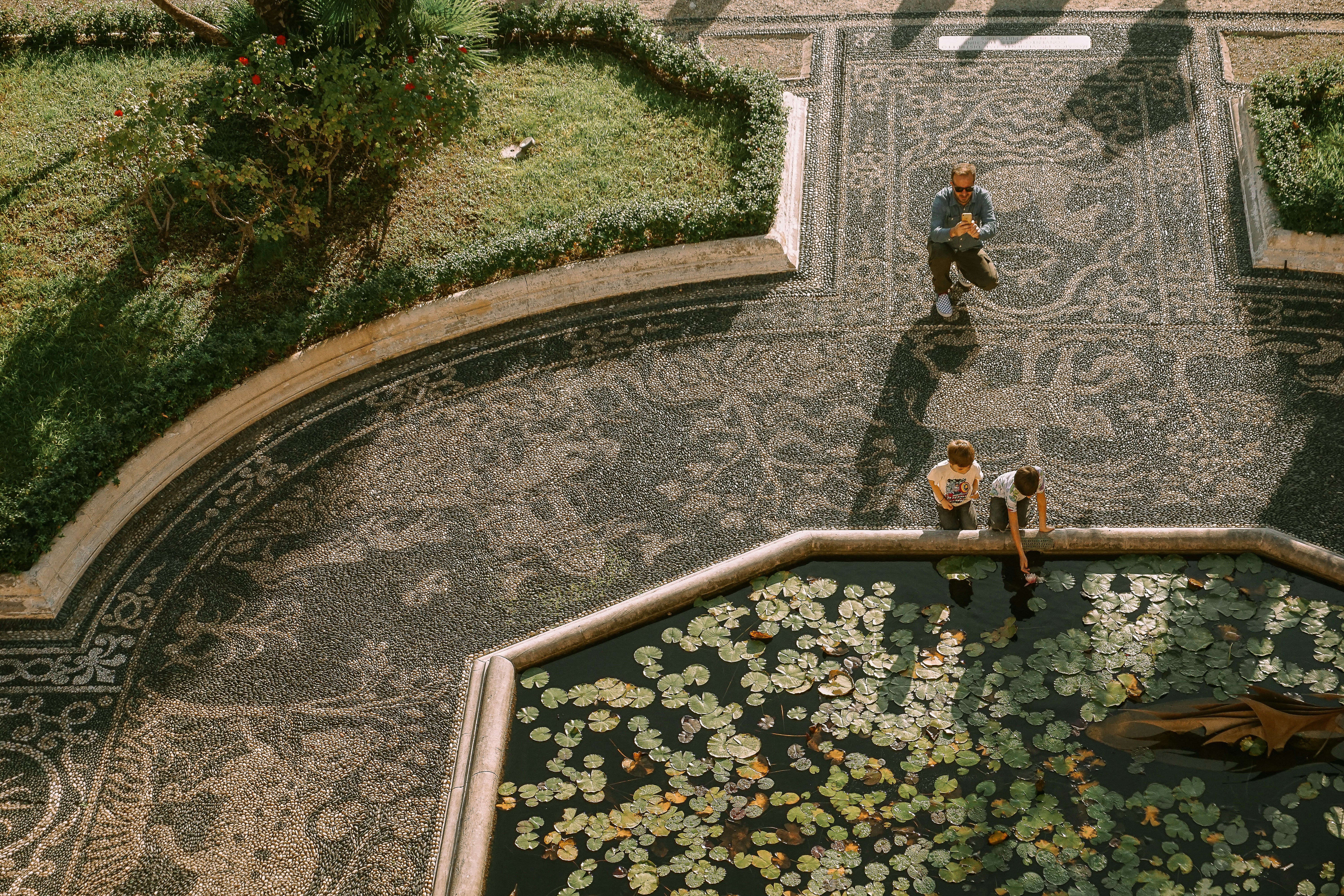 Quiet Reflections by the Lily Pond