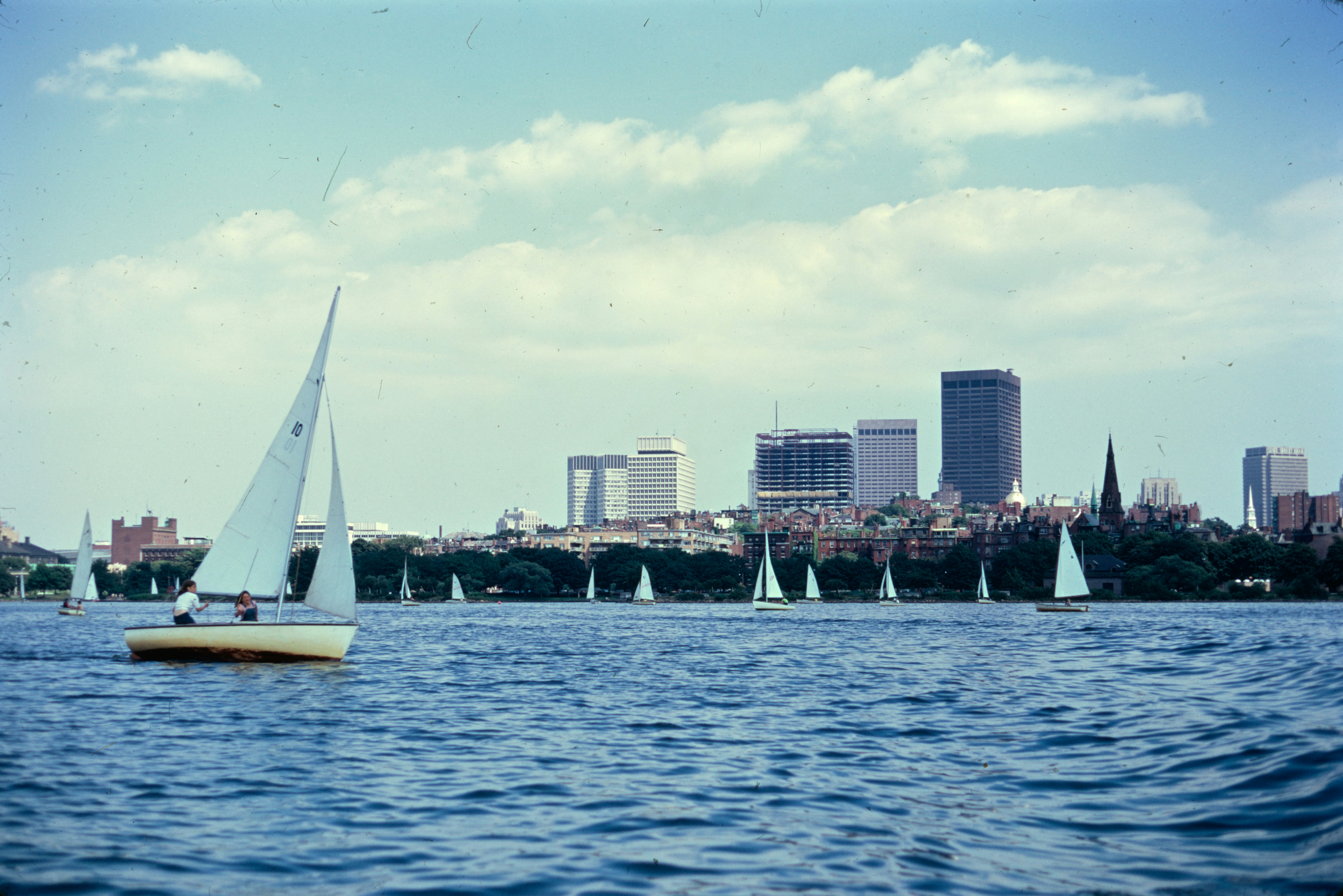 Harbor Sails Against a City Horizon