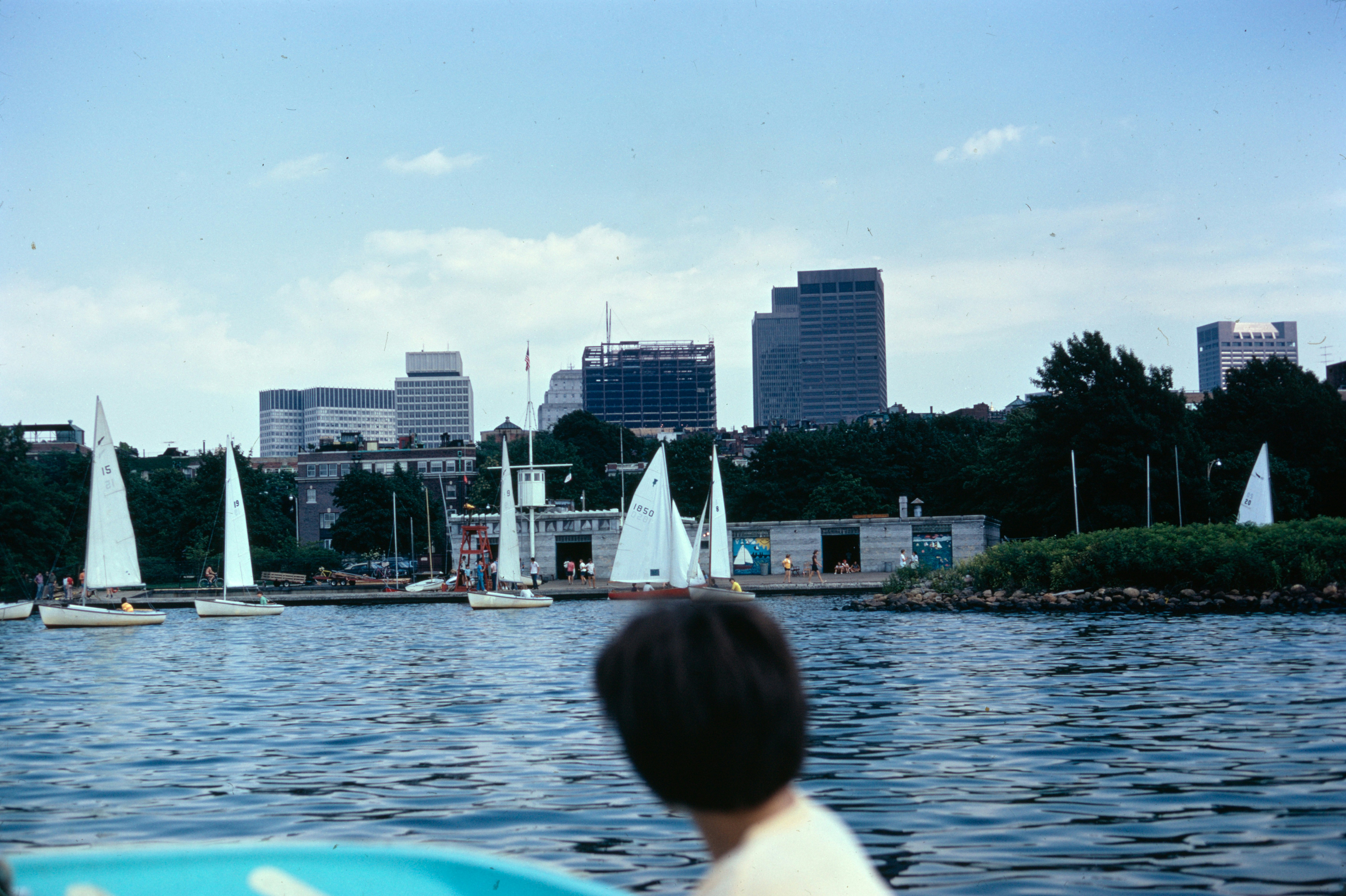 Harbor Sails Framing a Distant City Skyline