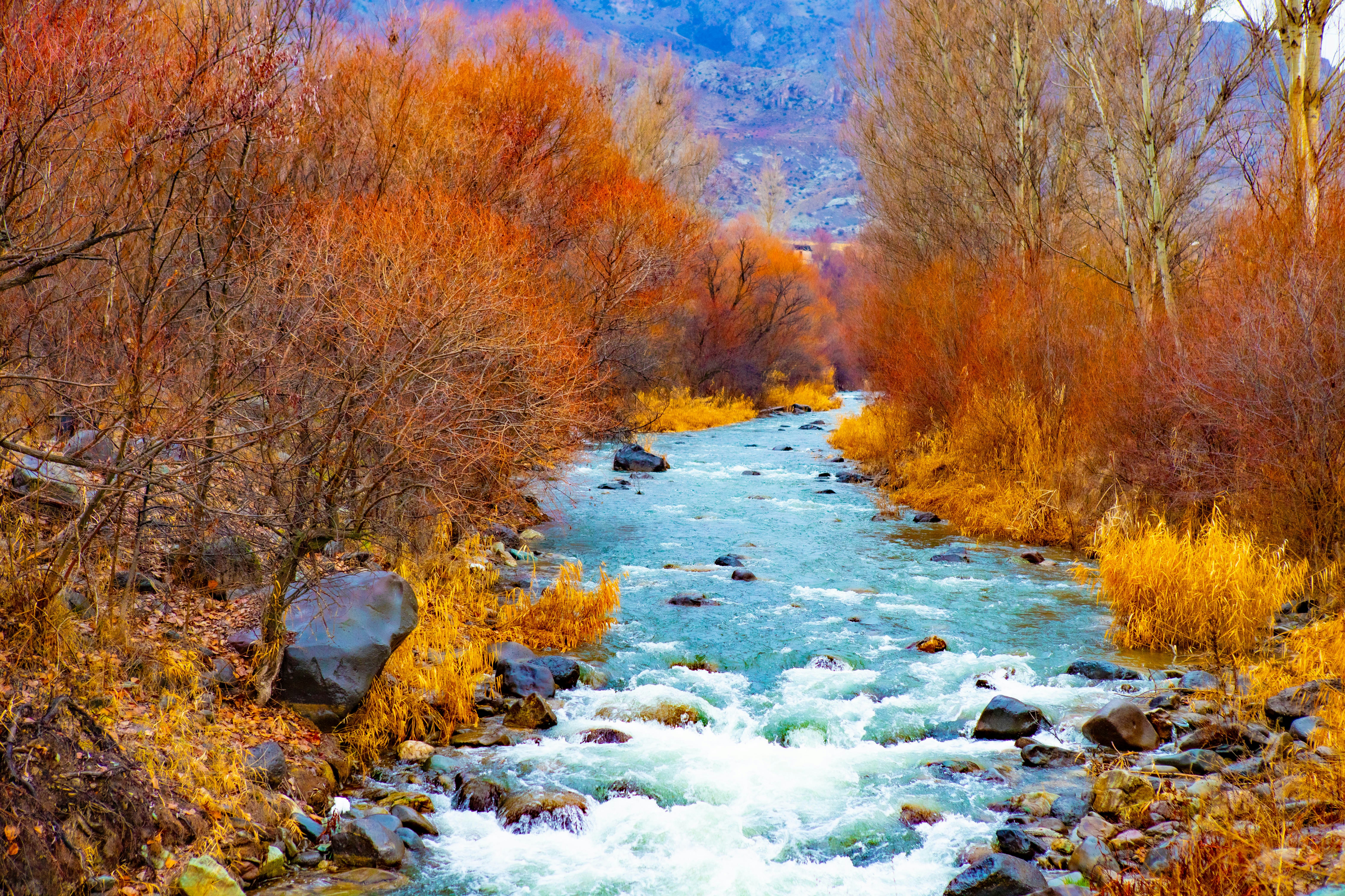 Autumn River Run: Golden Ripples Through Tumbled Stones