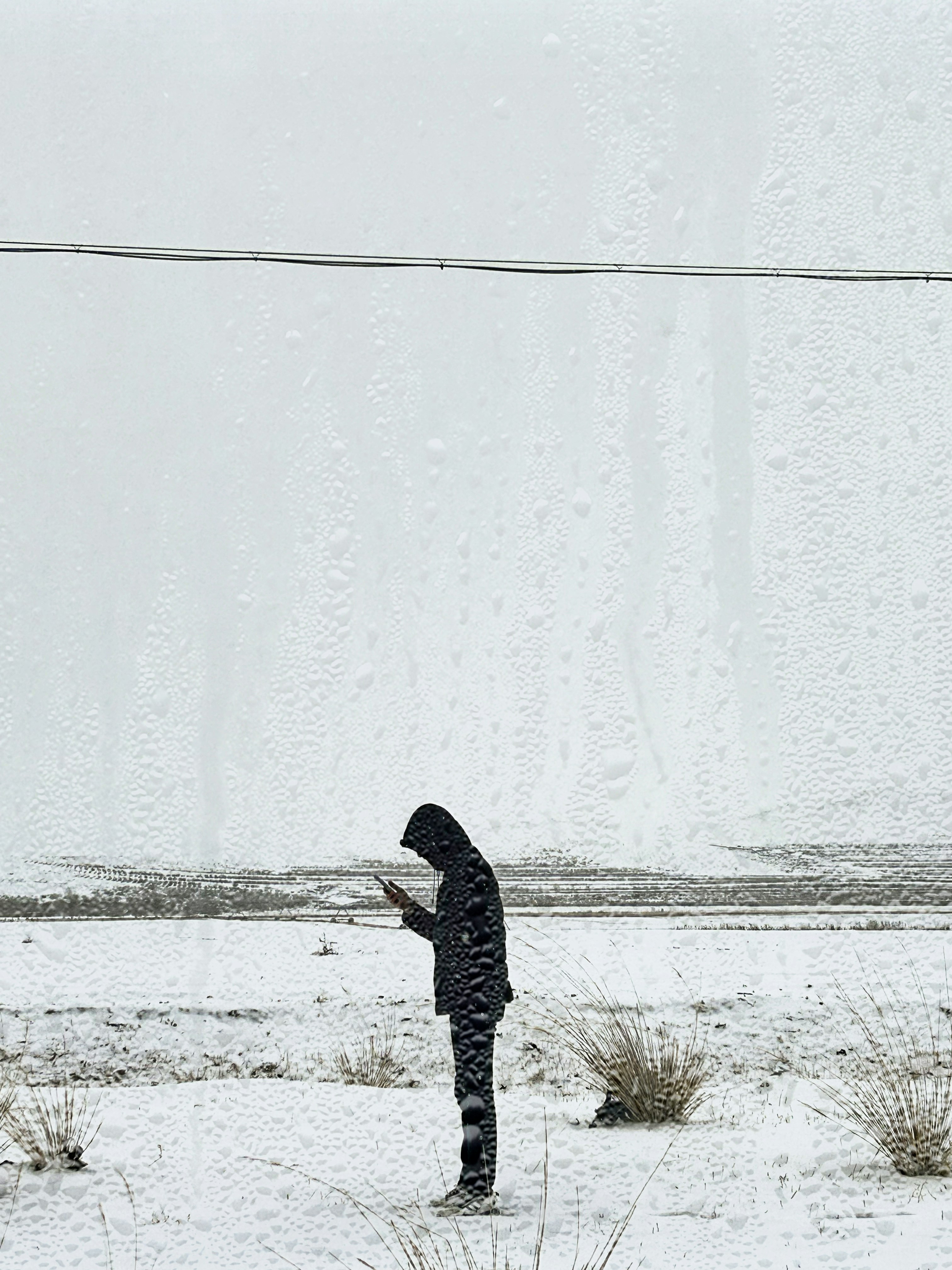 Lone Figure in a Snowfield Checks a Phone Under a Pale Horizon