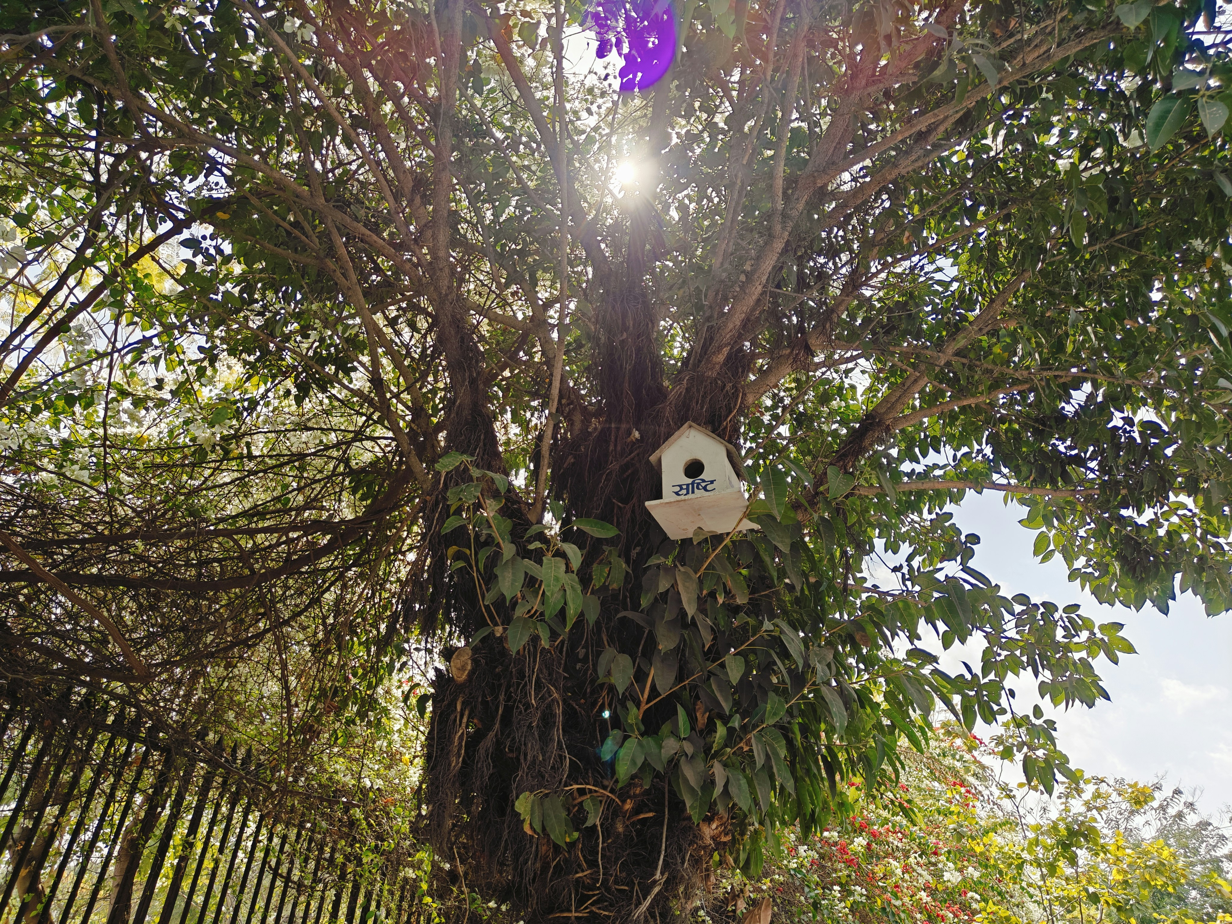 Photo by Barun Ghosh with OnePlus 12R