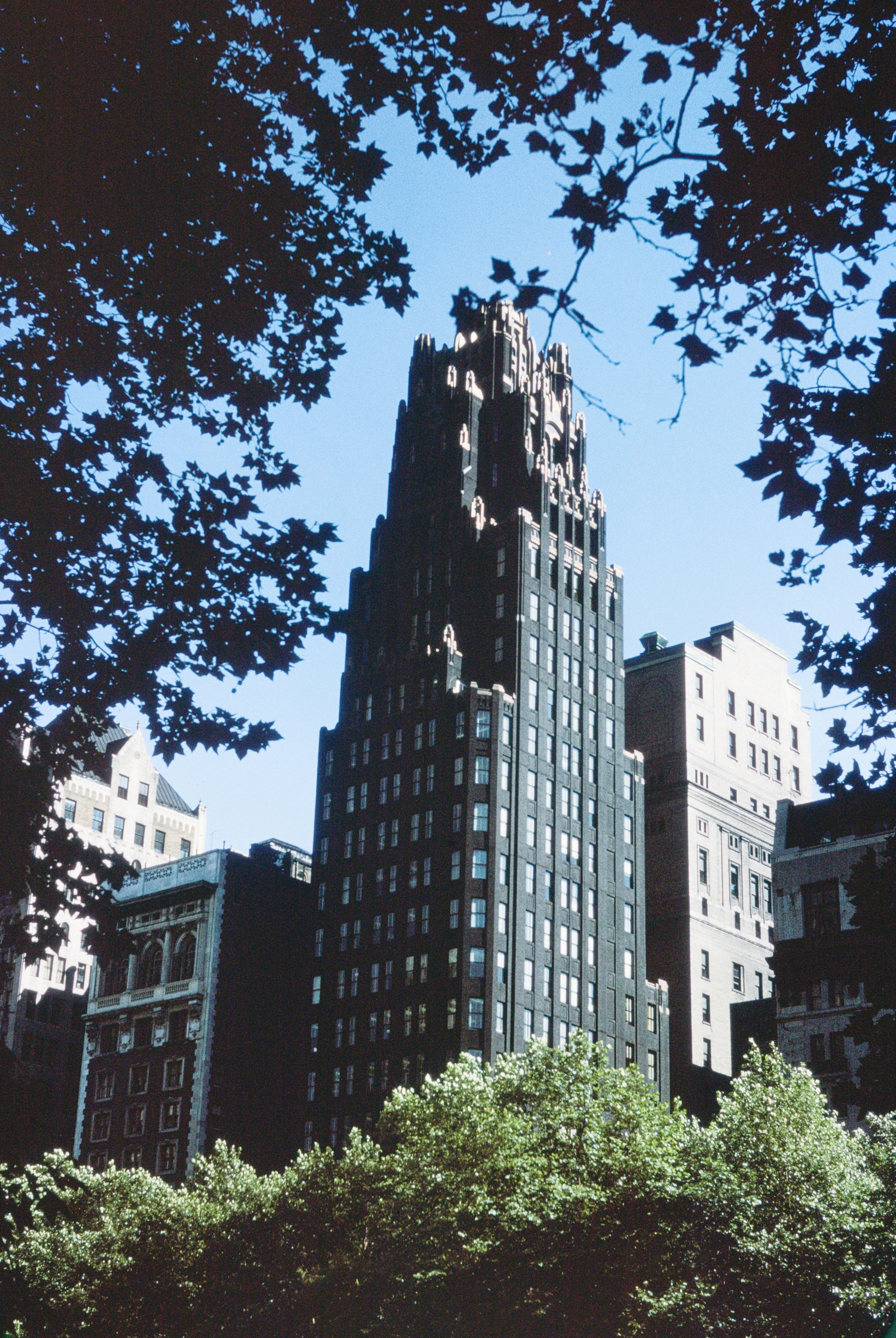 Towering Gothic Highrise Surrounded by Canopy