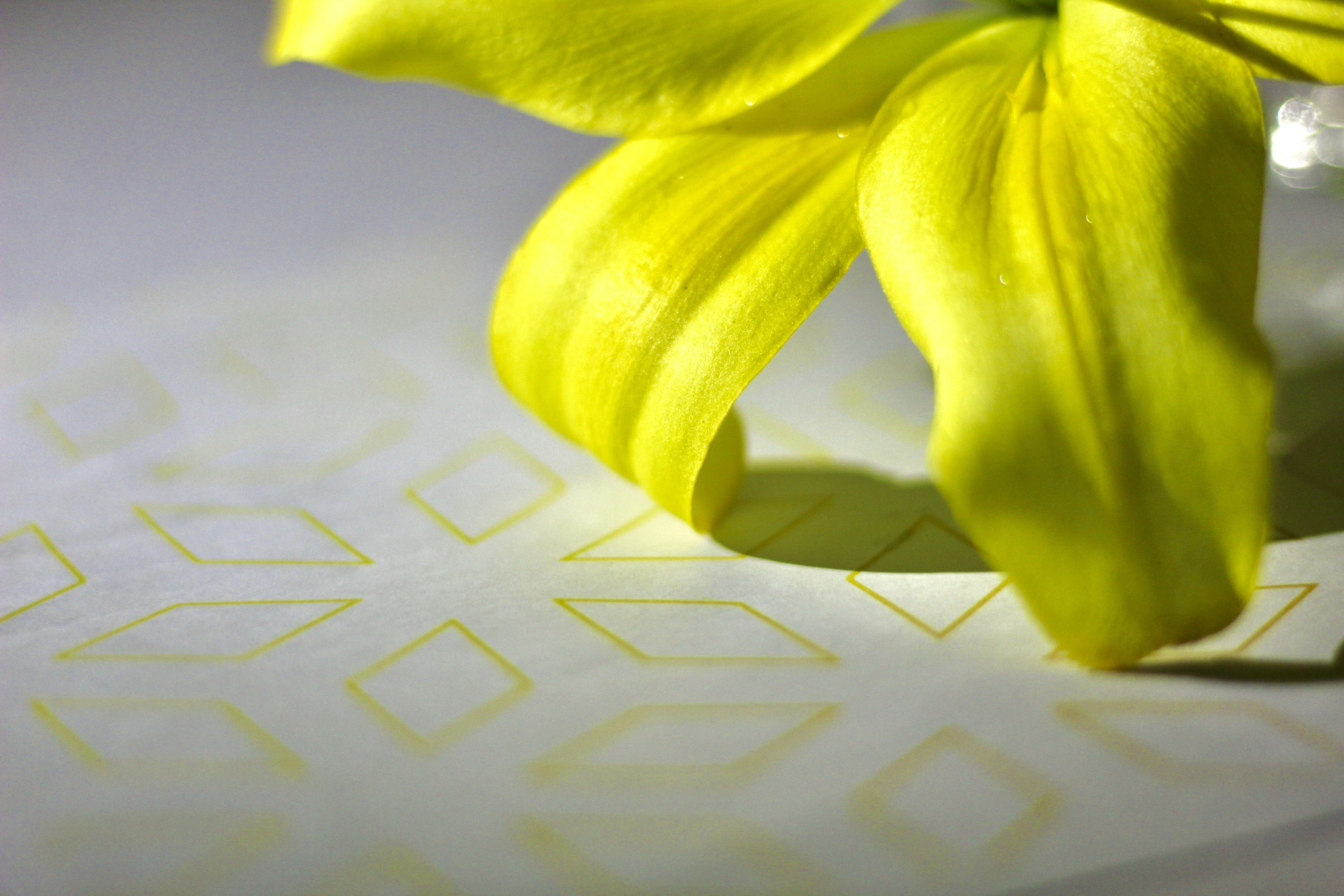 Lemon Petal over a Quiet Diamond Surface