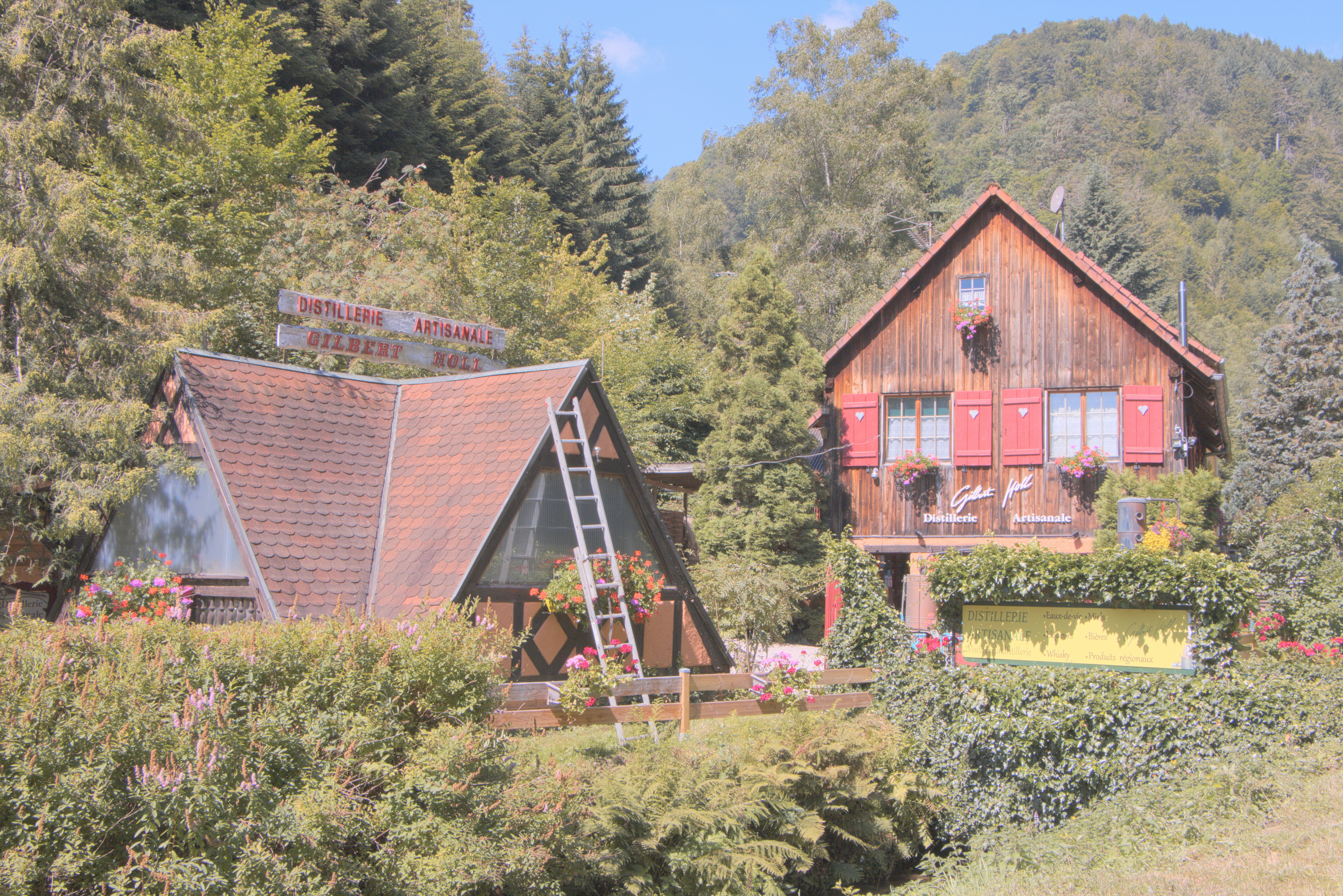 Crimson-Shuttered Alpine Chalet Framed by Sunlit Garden