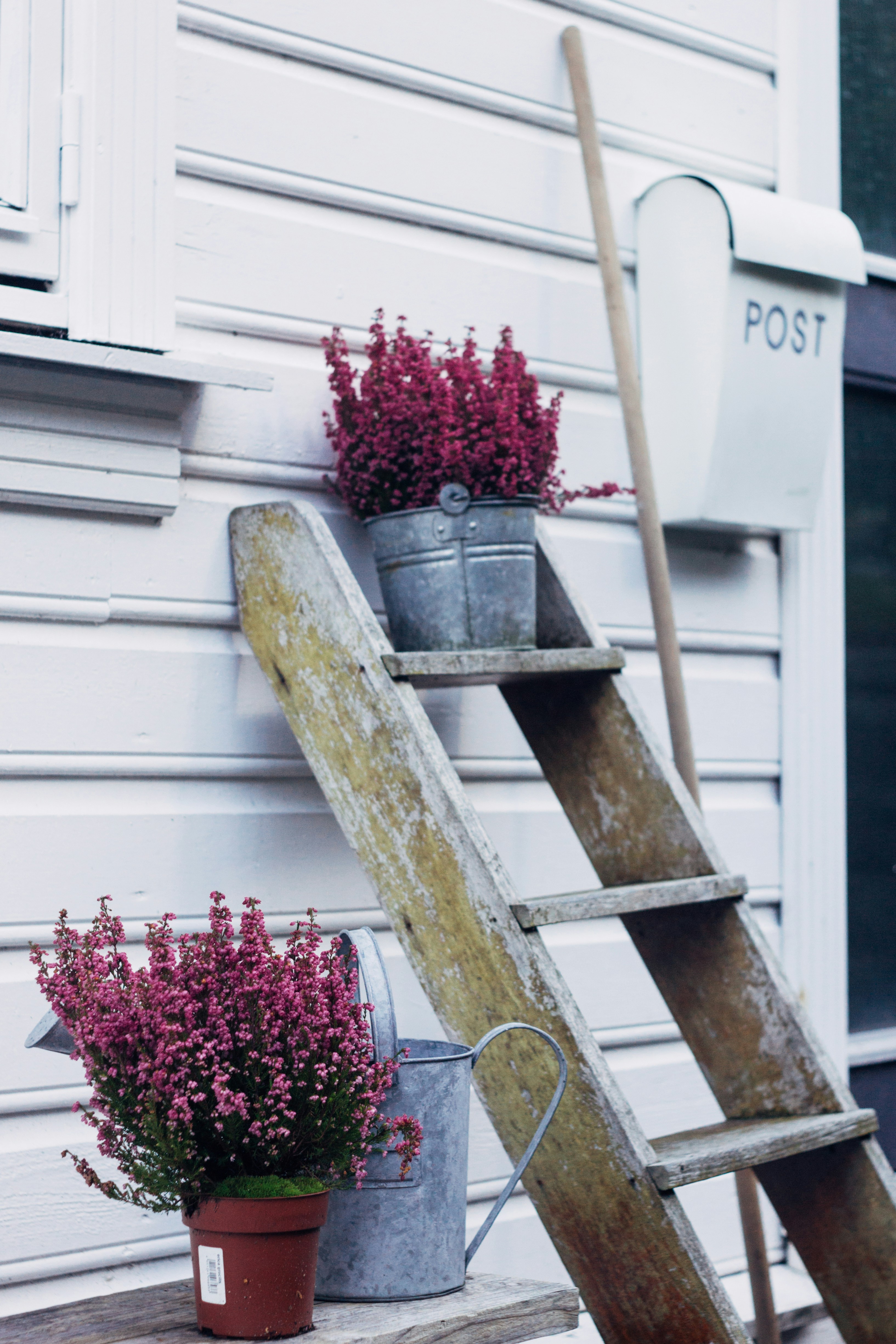 Two buckets and a ladder with flowers in them photo – Free Flowers ...