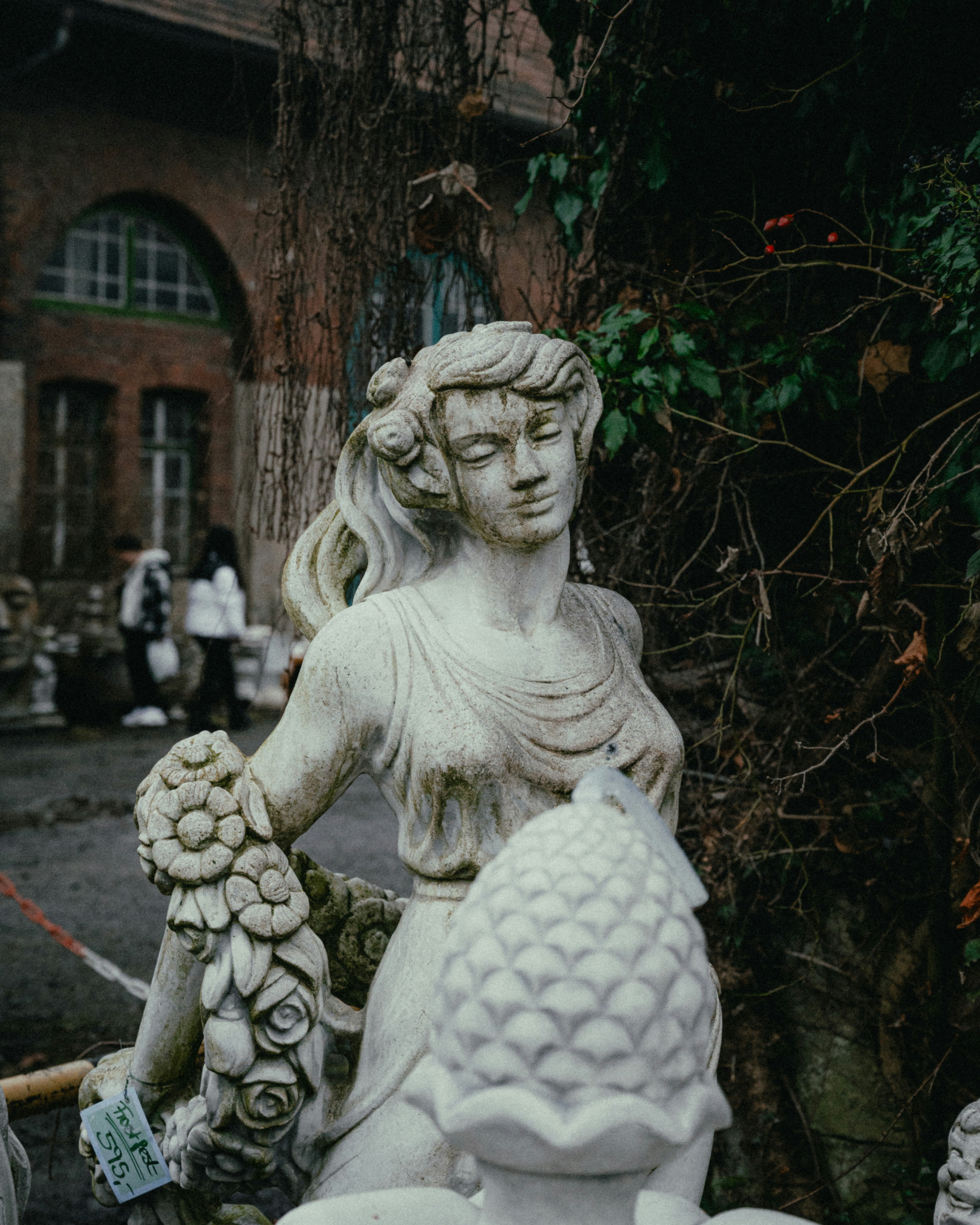 Photo by Luca Severin with Nikon Z6