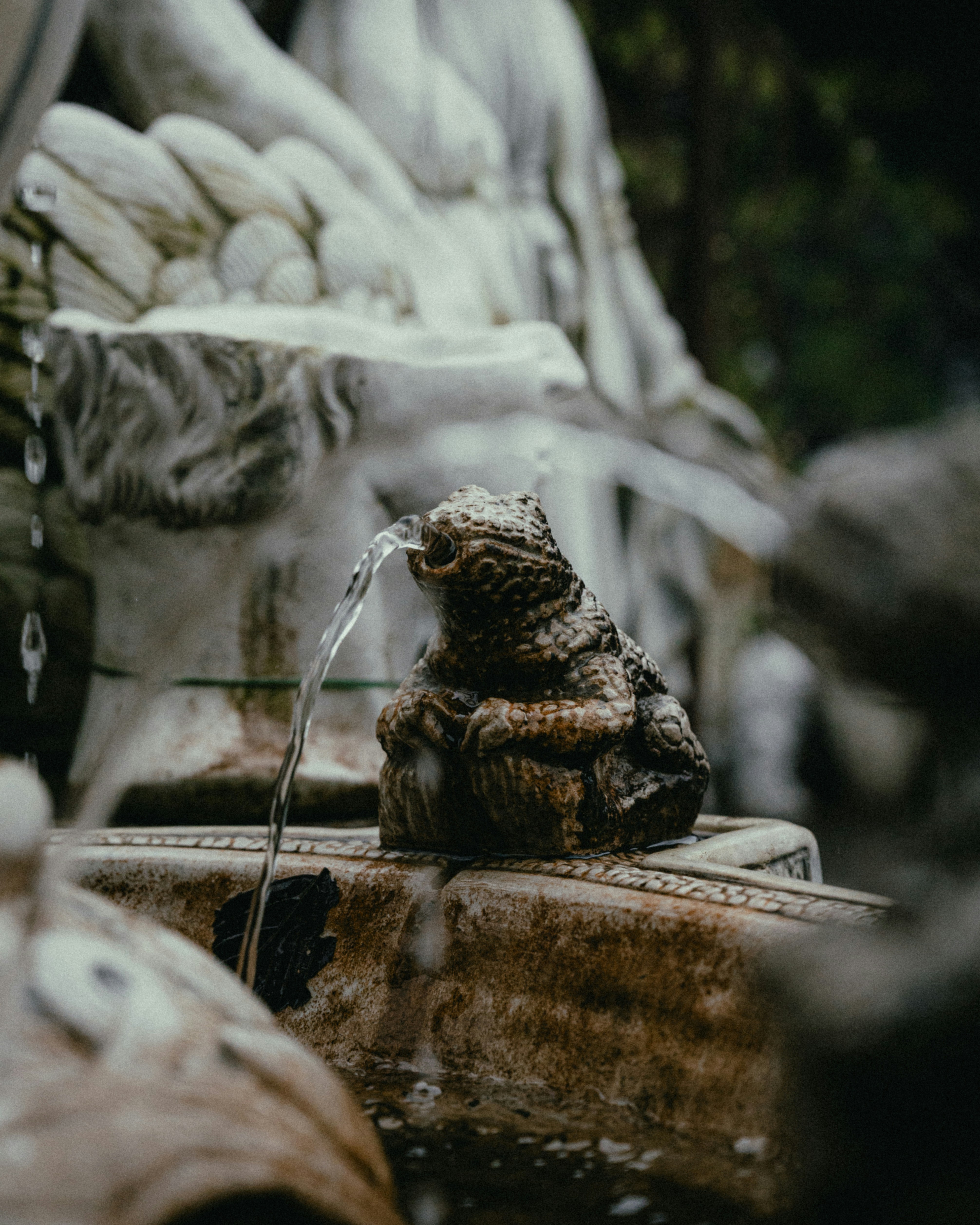 Whispering Frog: Weathered Stone Sentinel of a Garden Fountain