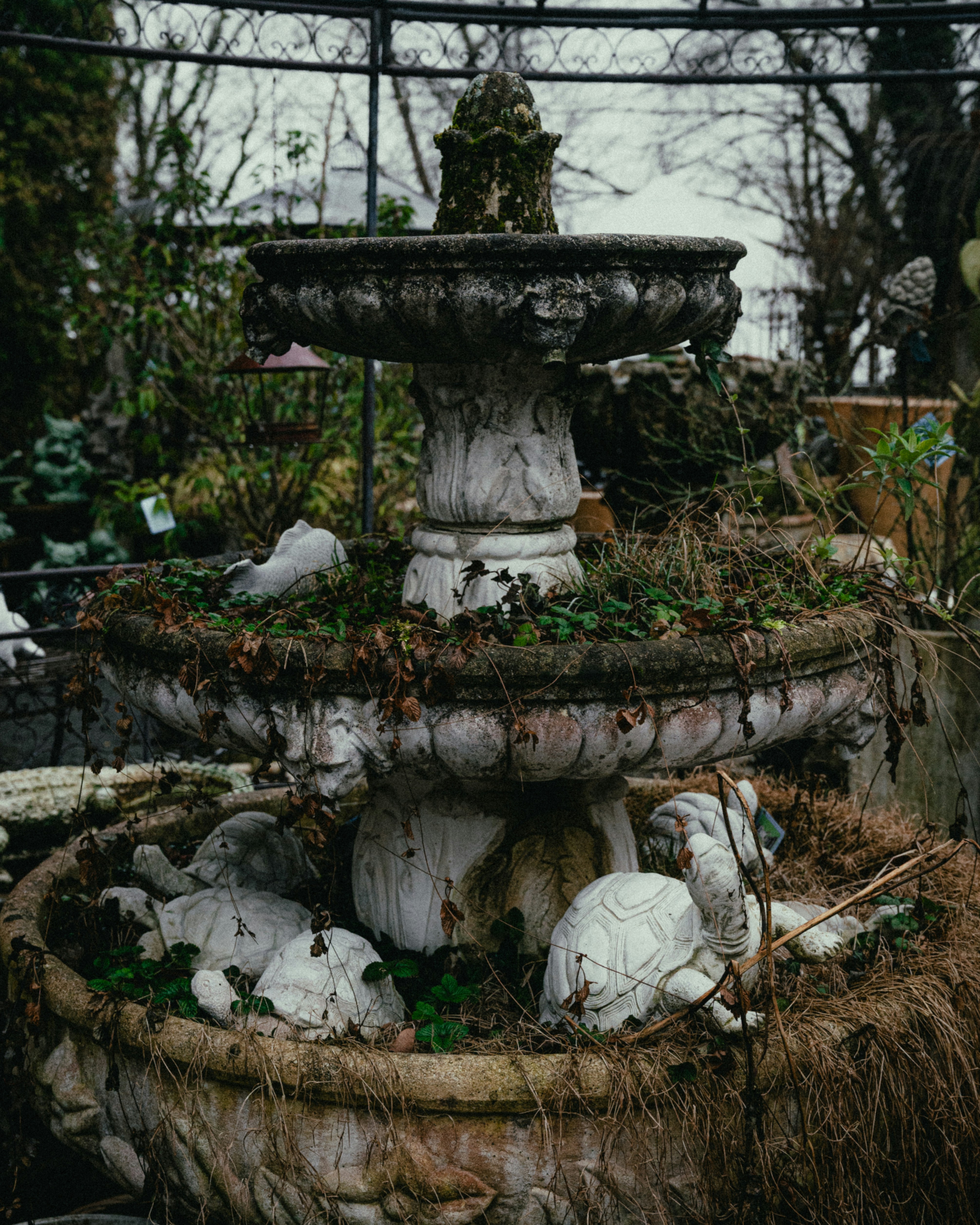 Moss-Cculpted Fountain Pinnacle Overgrown with Time