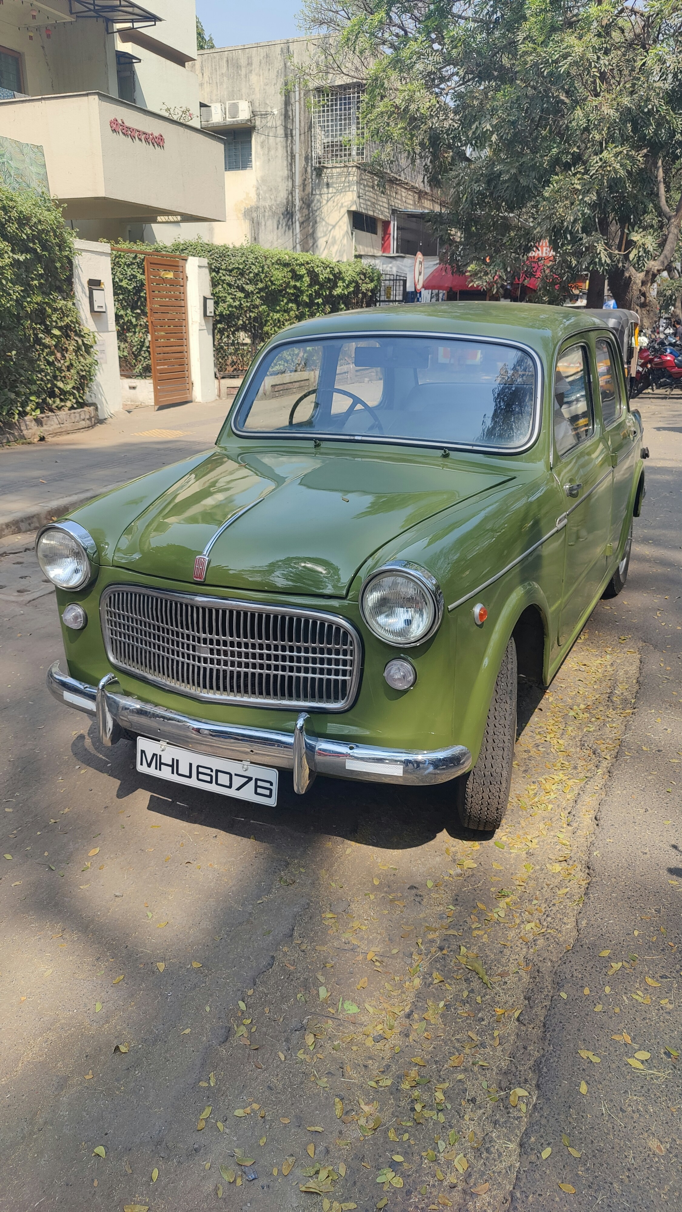 Olive-green vintage car with chrome grille and rounded headlights parked on a sunlit urban street, backed by residential buildings.