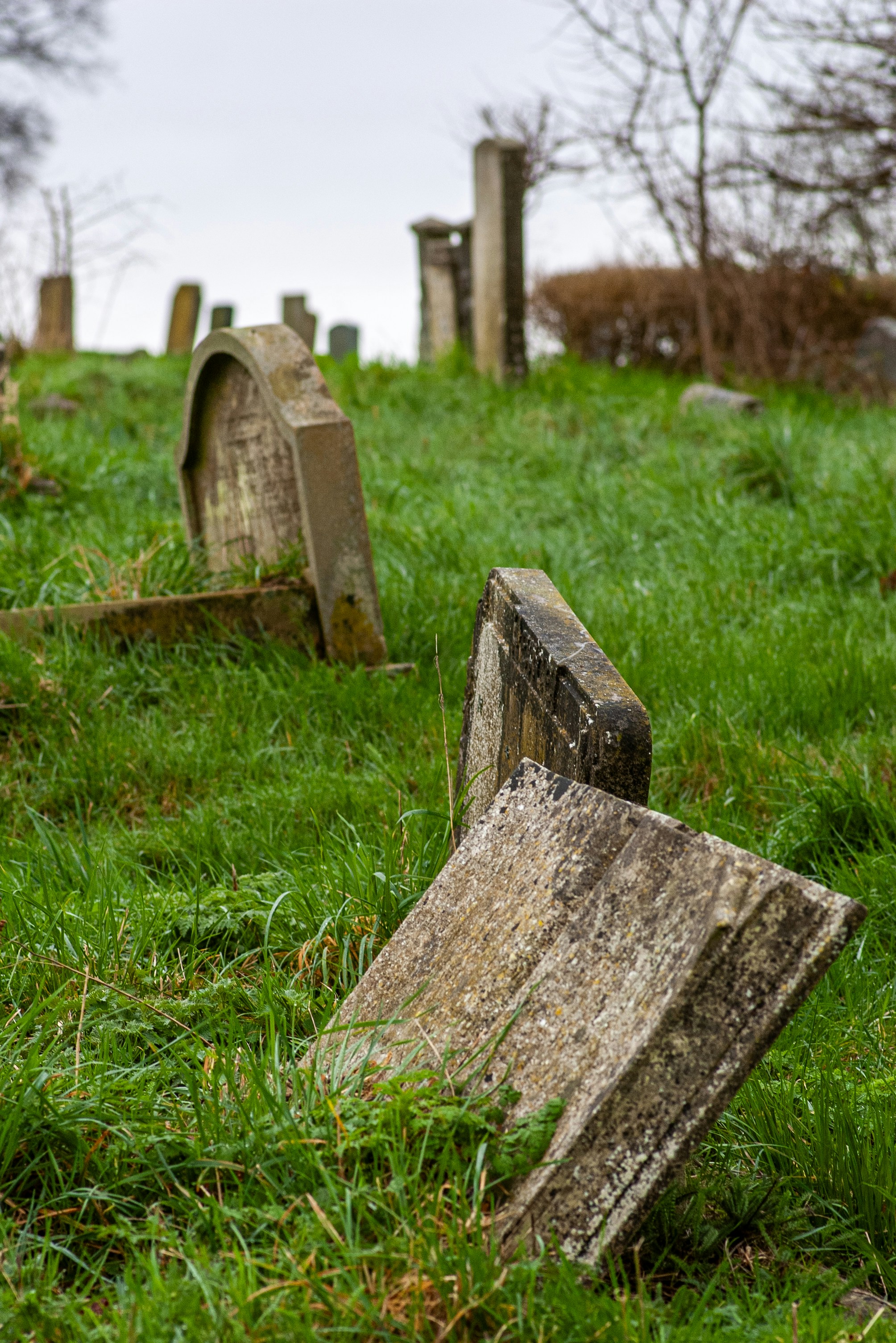 Tilted gravestones emerge from lush green grass in an overcast cemetery, evoking a sense of history and neglect.