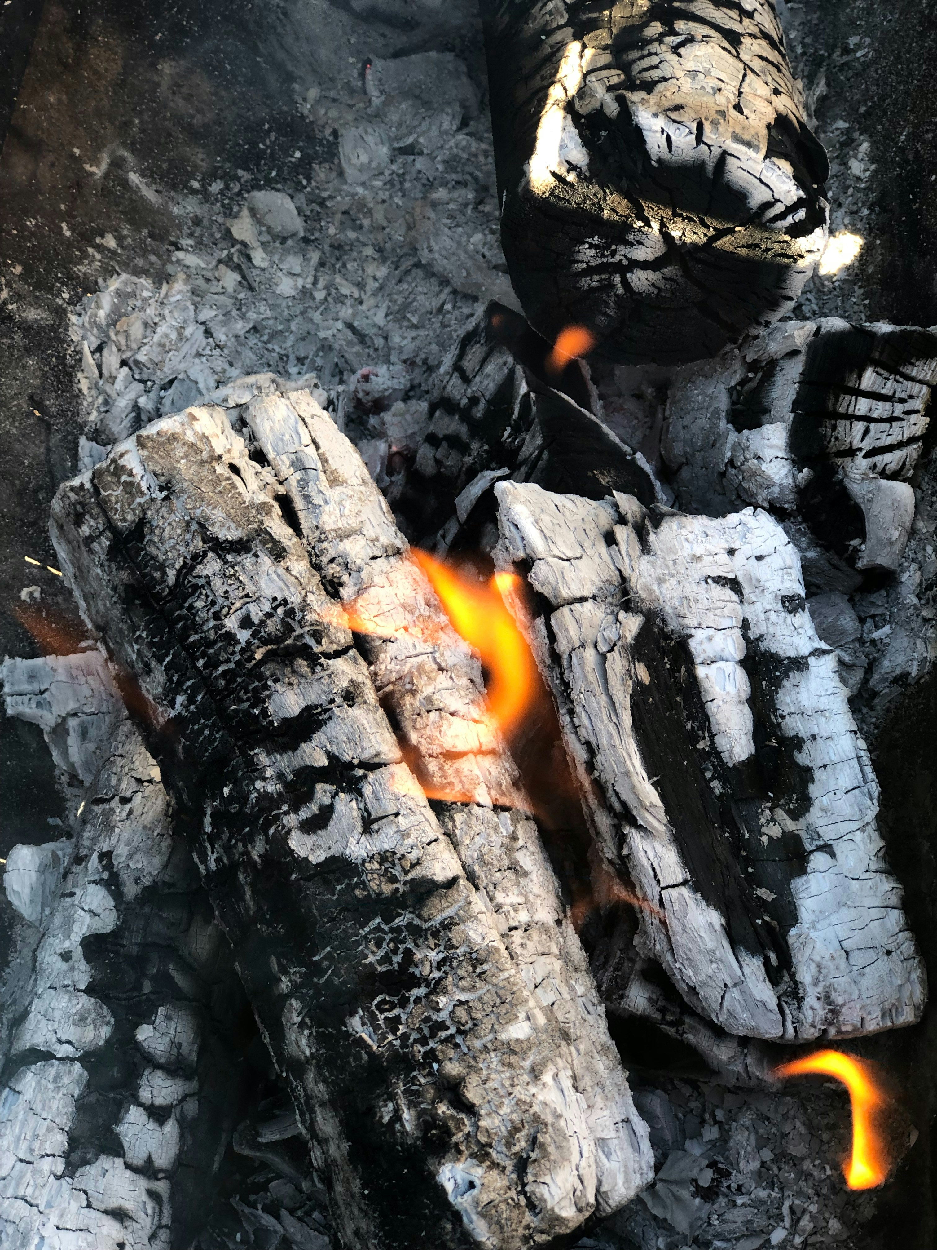 Embers Nestled in Cracked Charcoal