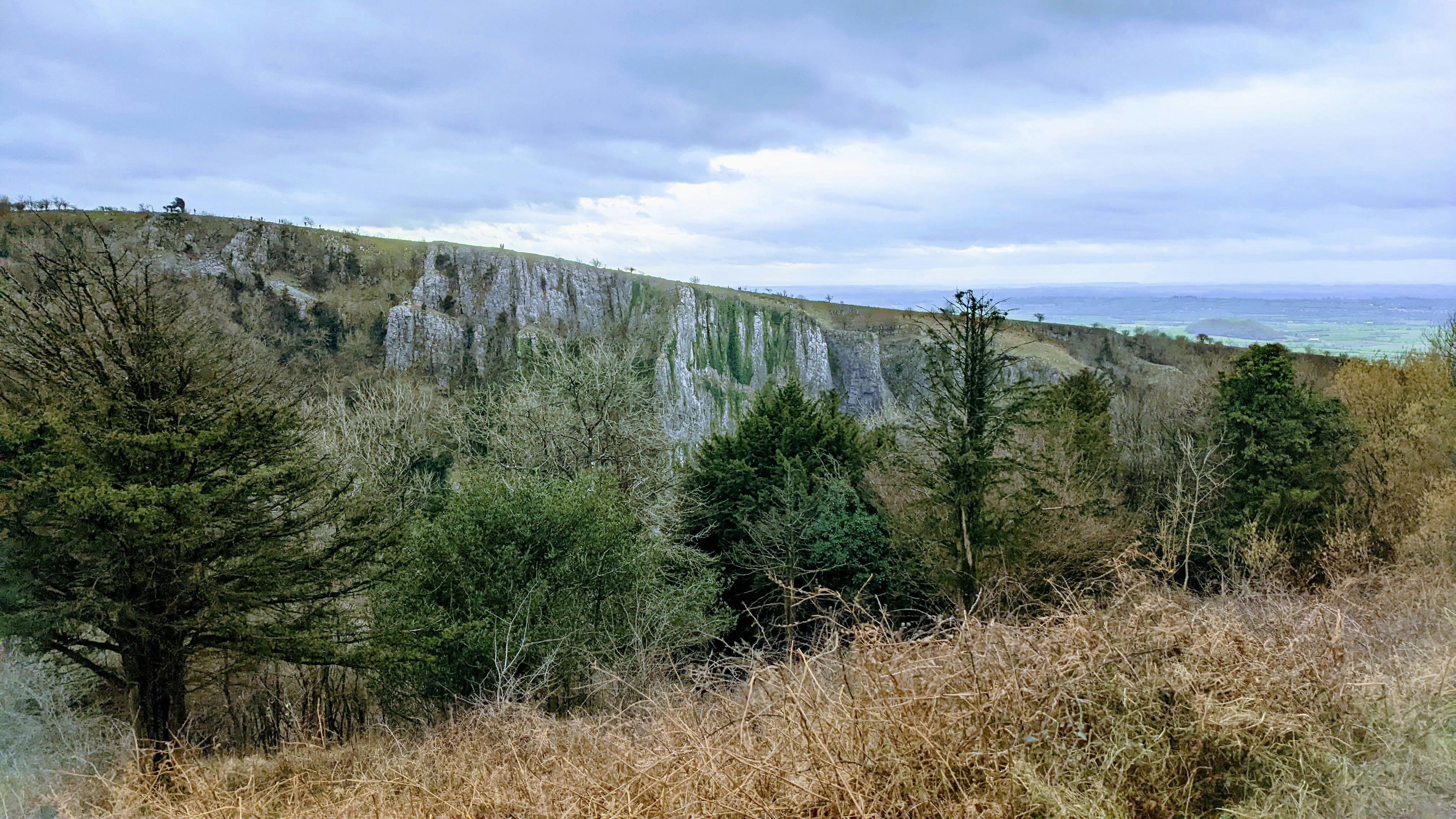 Lush greenery contrasts with rugged cliffs under a moody sky, showcasing the beauty of nature's resilience. The scene captures a serene landscape with a hint of drama.