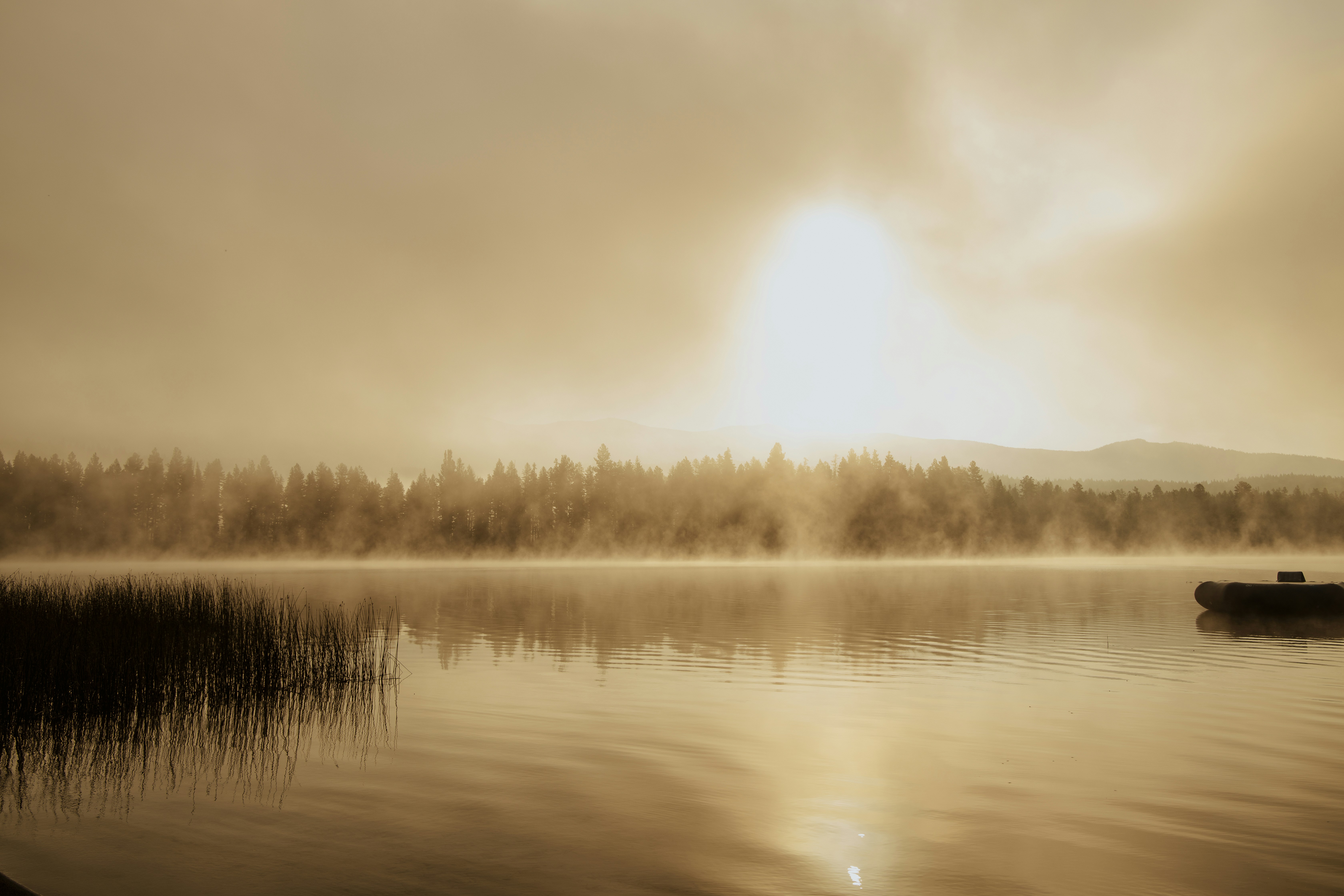 A boat floating on top of a lake next to a forest photo – Free ...