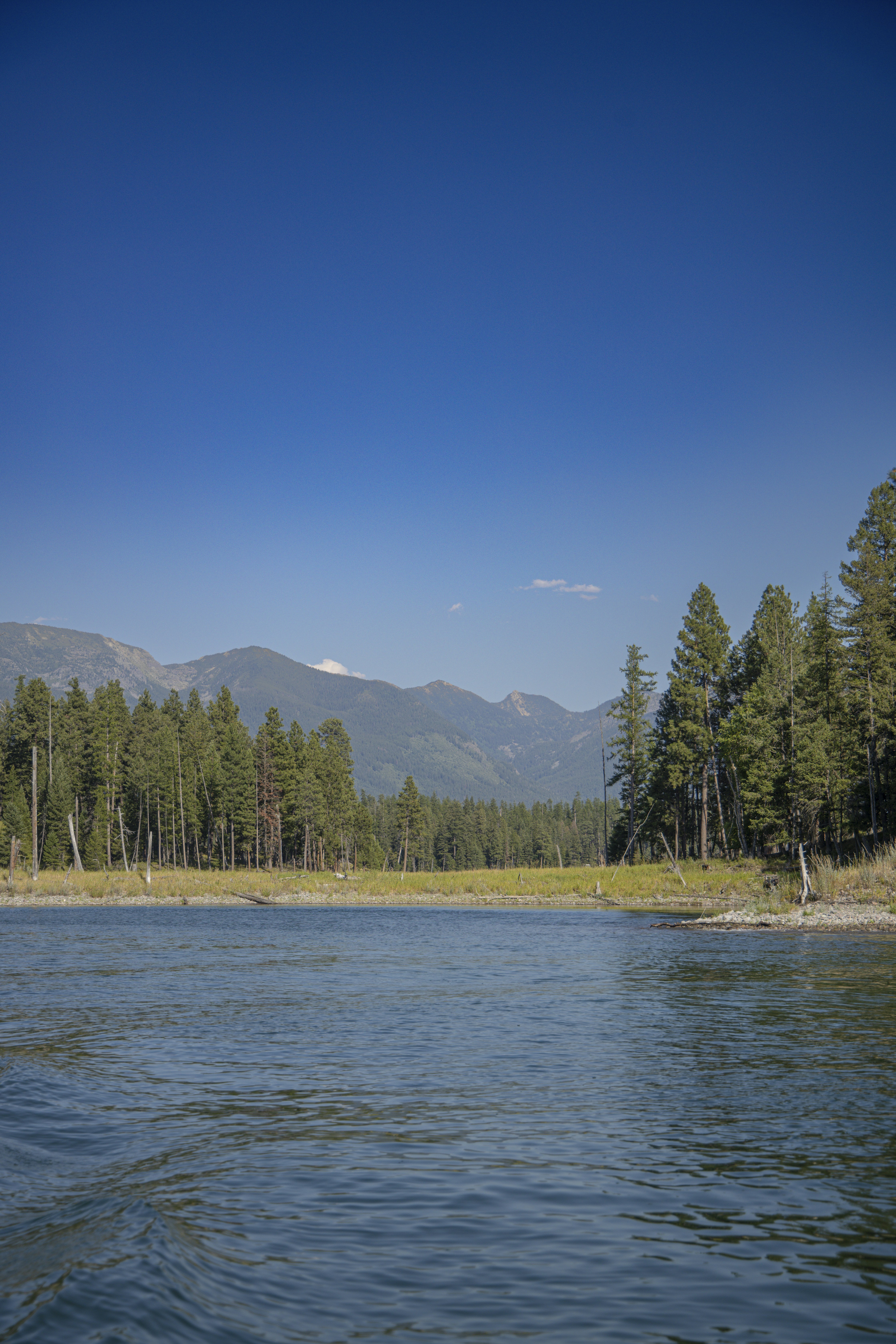 A body of water surrounded by trees and mountains photo – Free ...