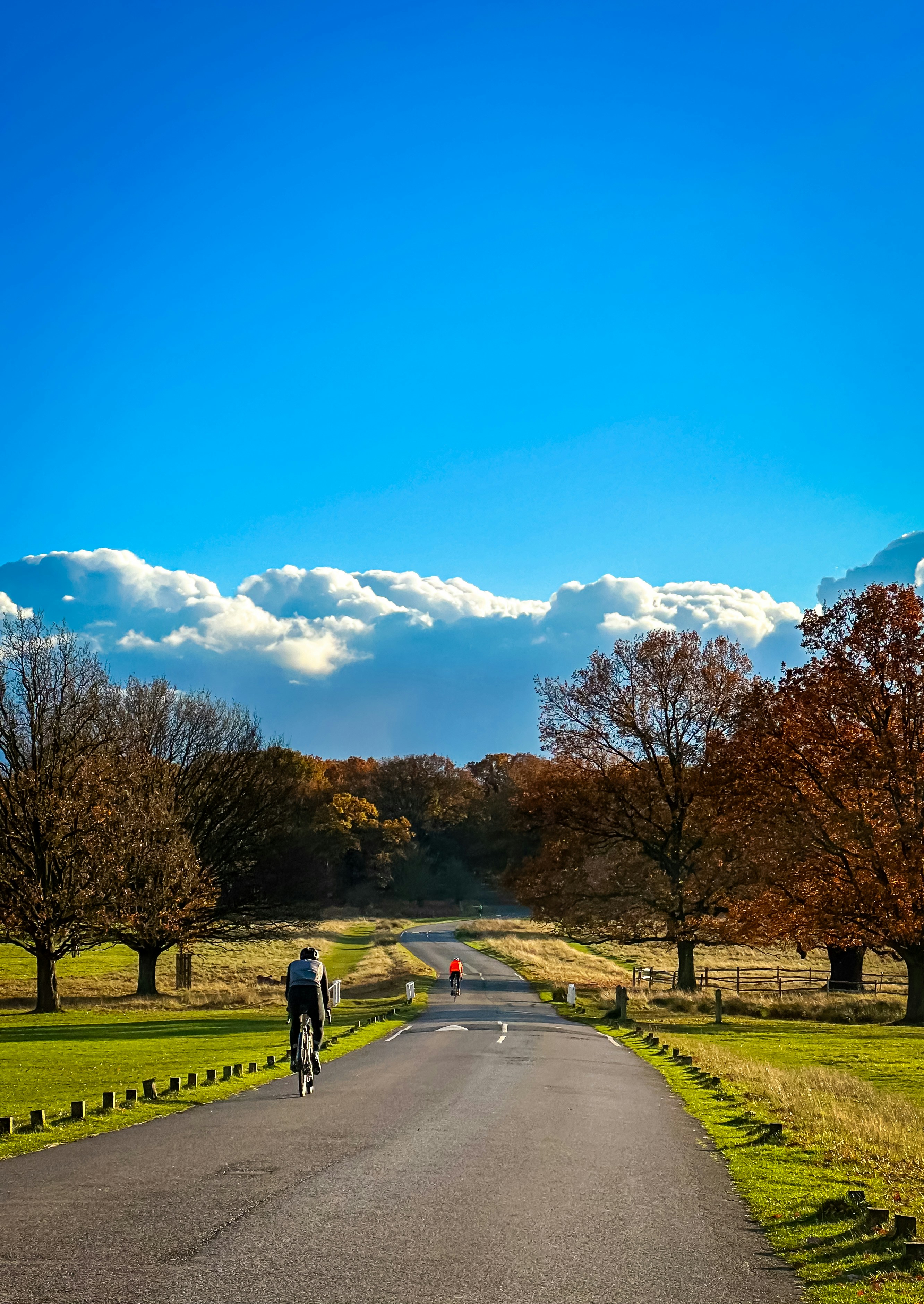Autumn Park Road: Two Cyclists on a Sunlit Path Beneath an Open Blue Sky