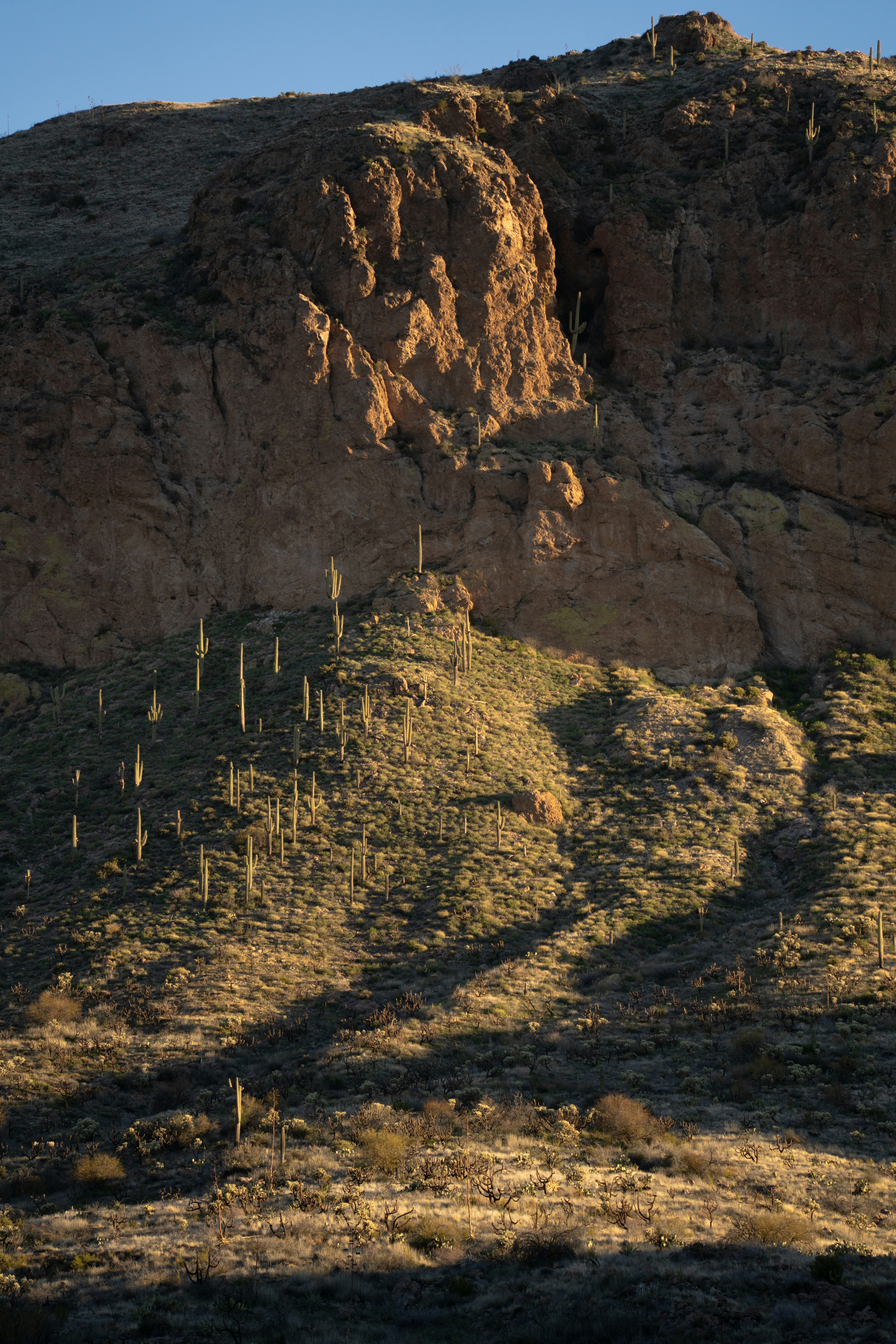 Granite Sentinel at Golden Hour: Desert Cliff with Cactus Spires