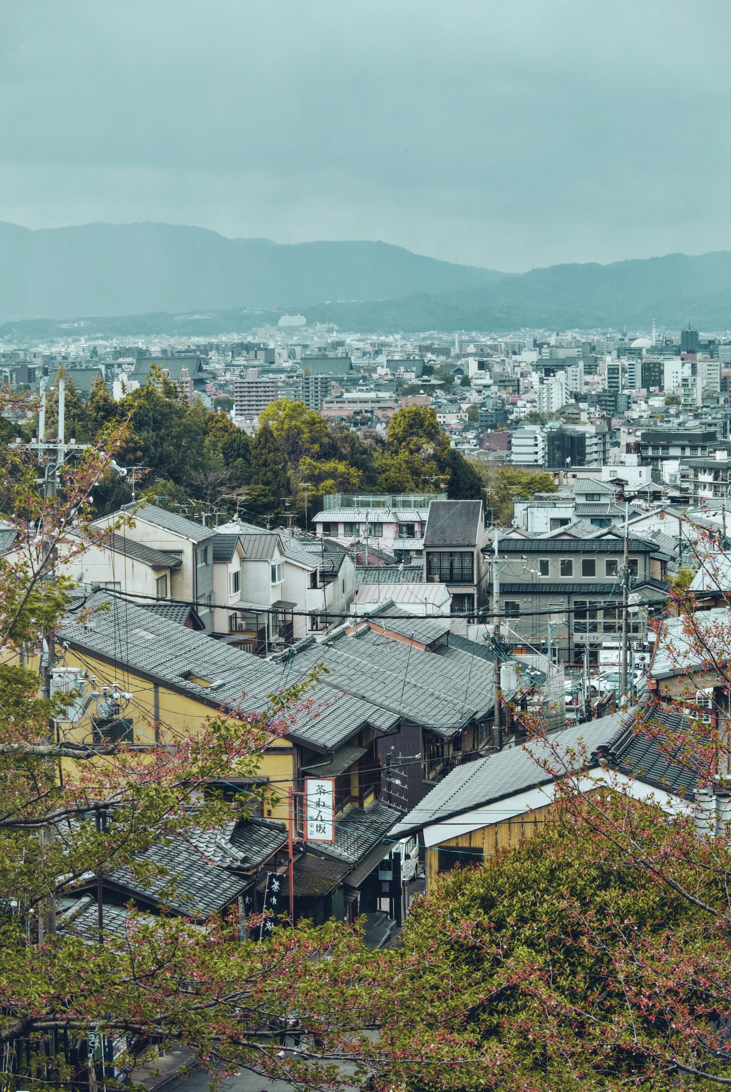 Hillside cityscape with dense traditional tiled rooftops framed by blooming trees. A distant urban skyline stretches under a pale blue sky.