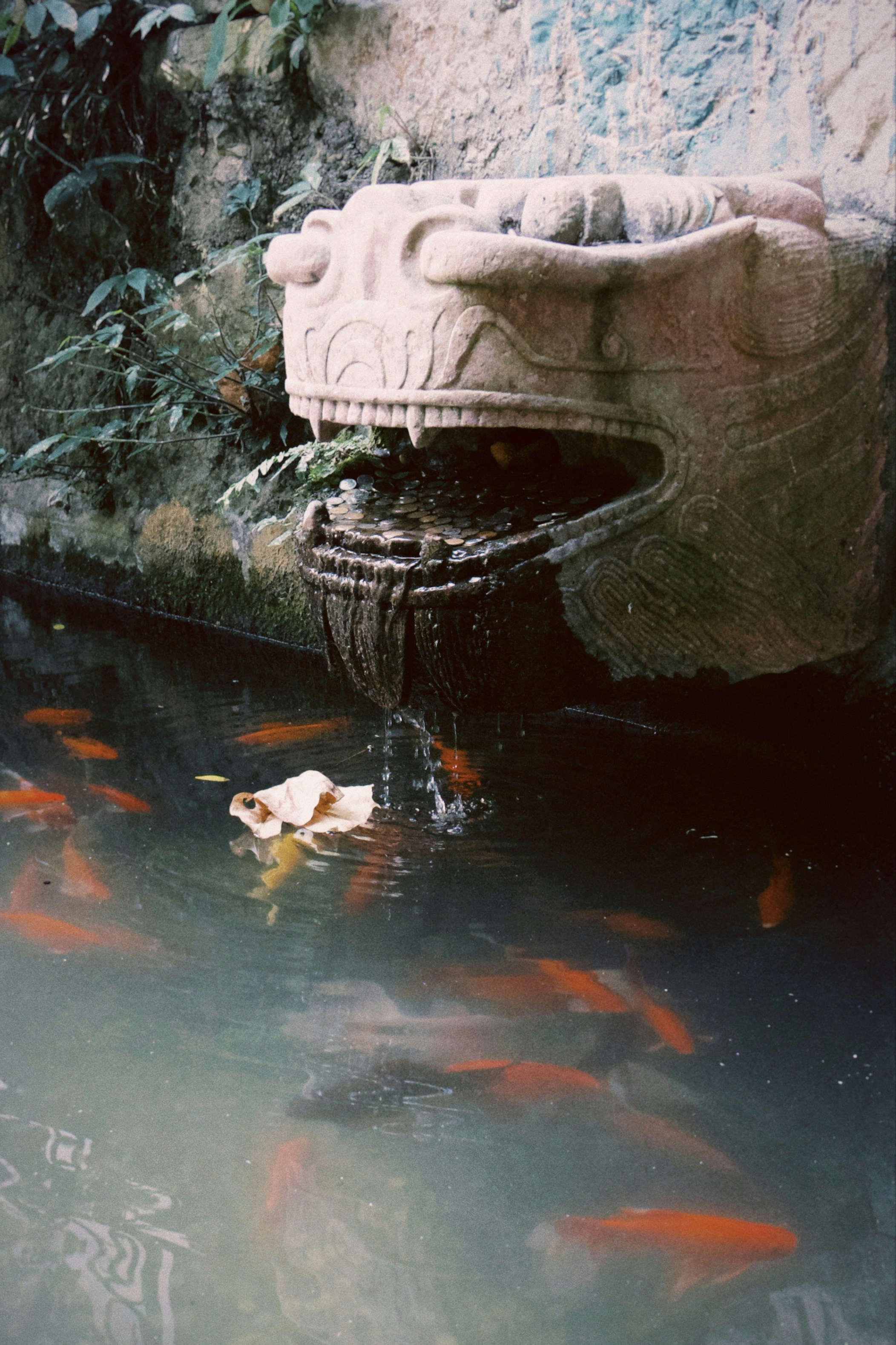 Stone dragon fountain vents water into a koi-filled pool beneath a mossy wall.