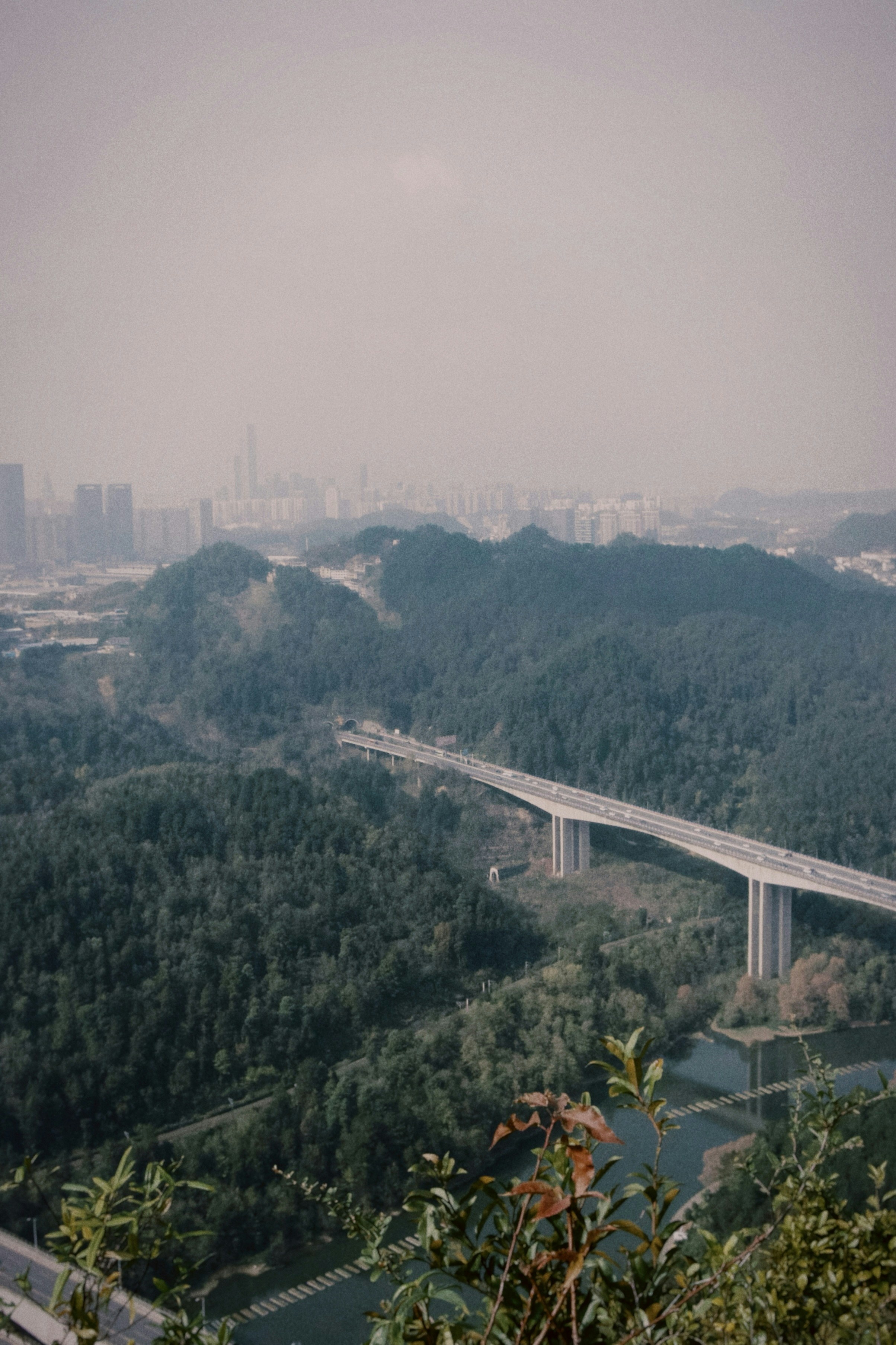 Une vue d’un pont sur une rivière au milieu d’une forêt photo – Photo ...
