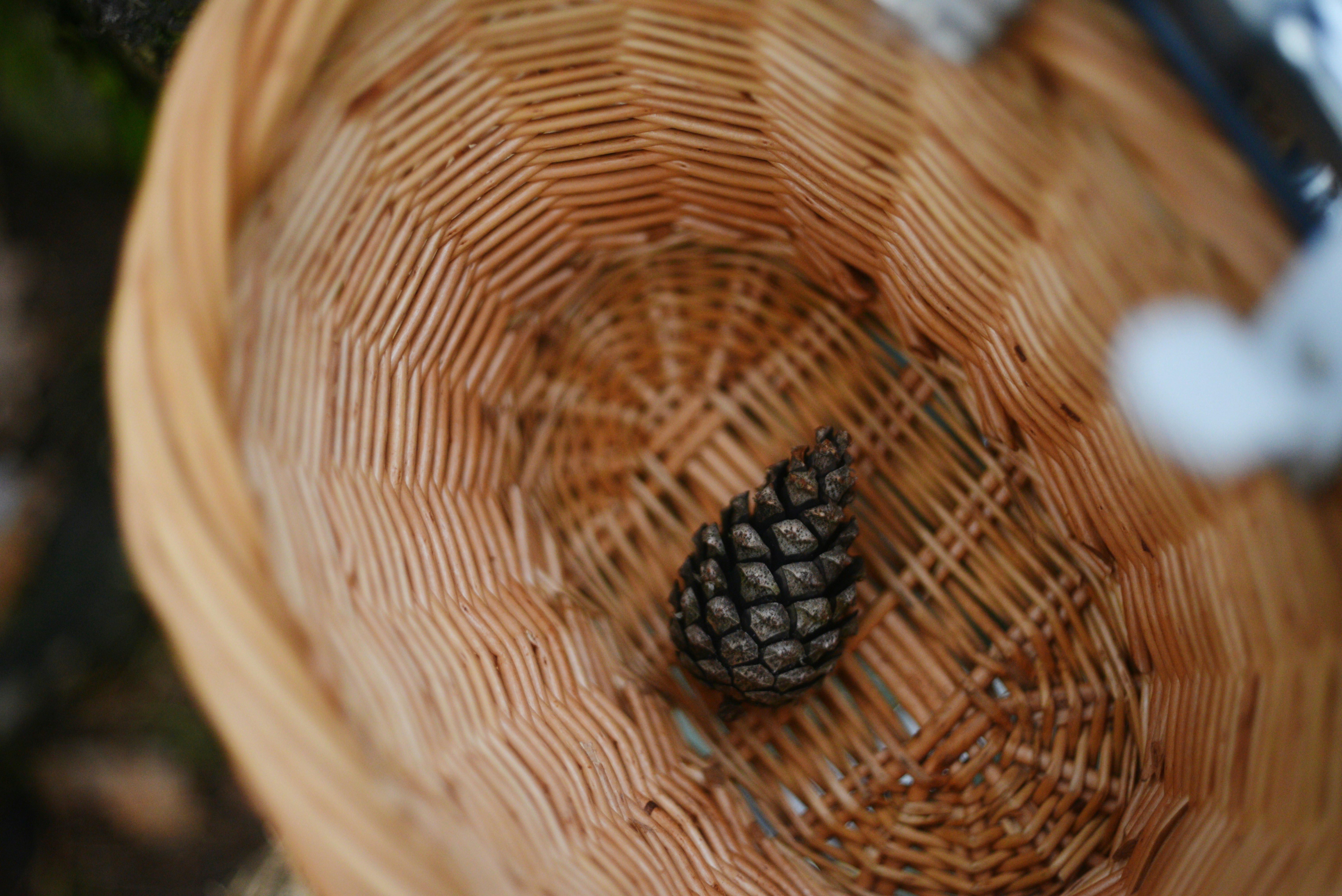 Earthy Capsule: Pine Cone Nestled in a Handwoven Basket