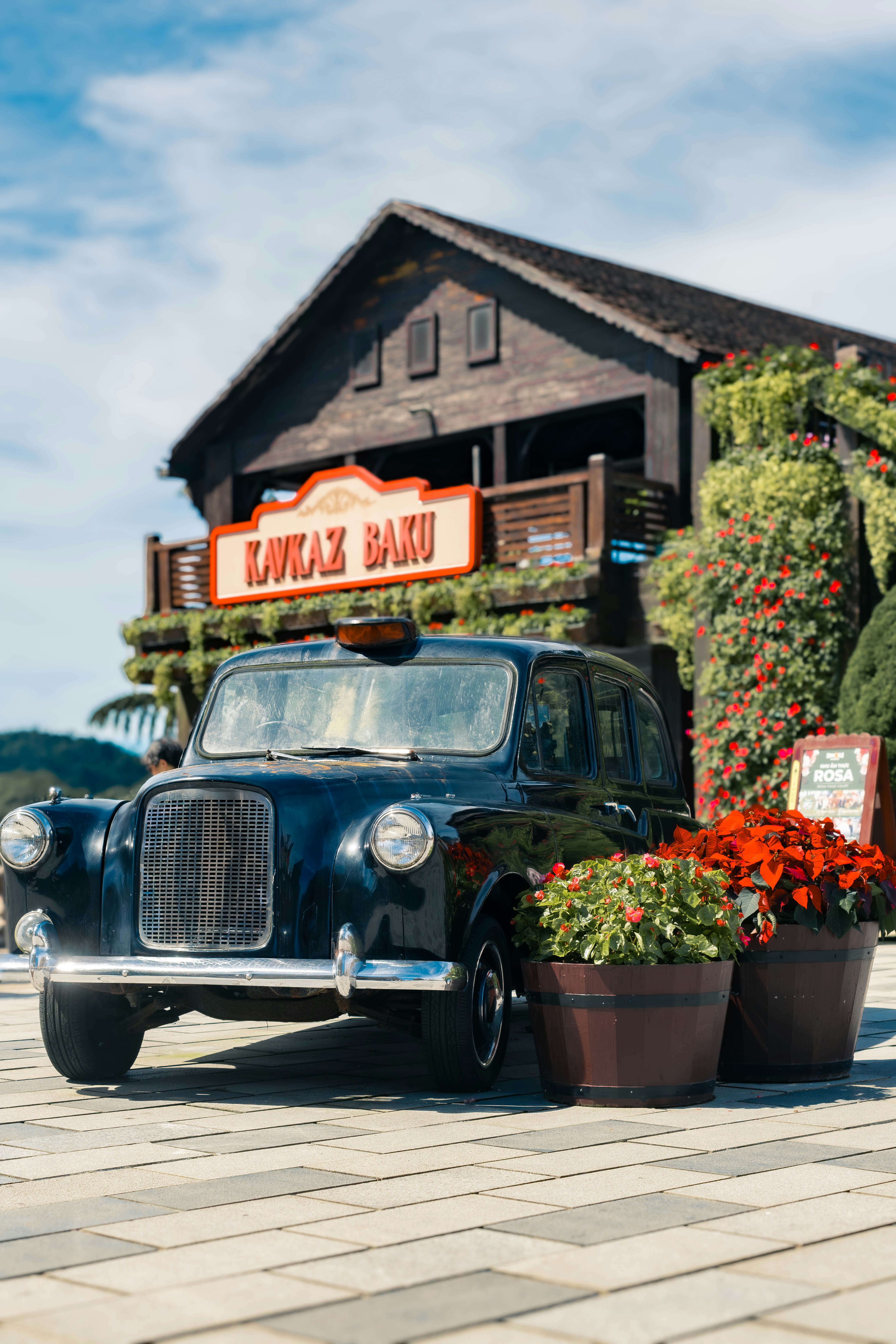 Mid-Century Blue Sedan Framed by a Florid Café Exterior