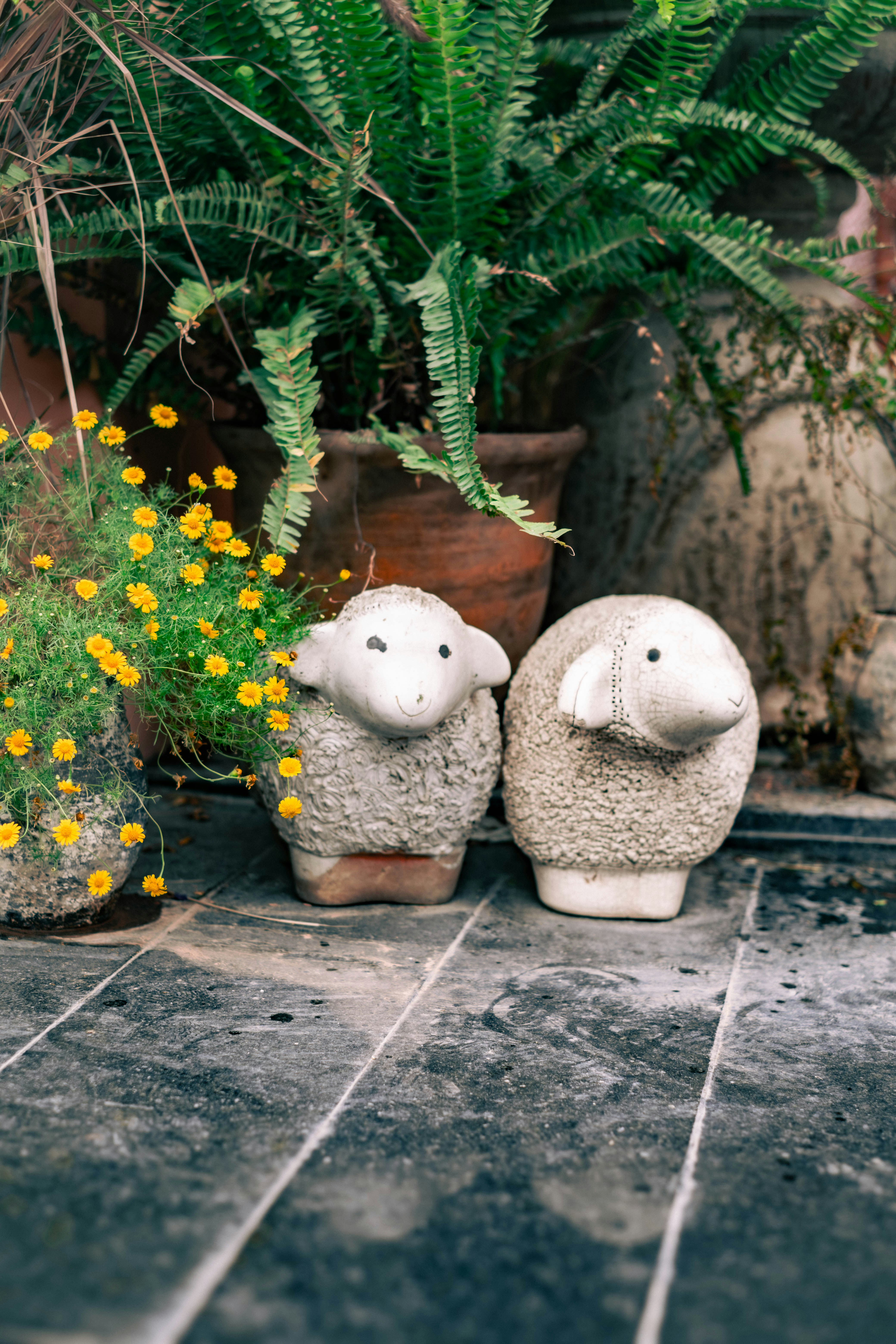 Two Ceramic Sheep by Yellow Blooms Under Fern Canopy