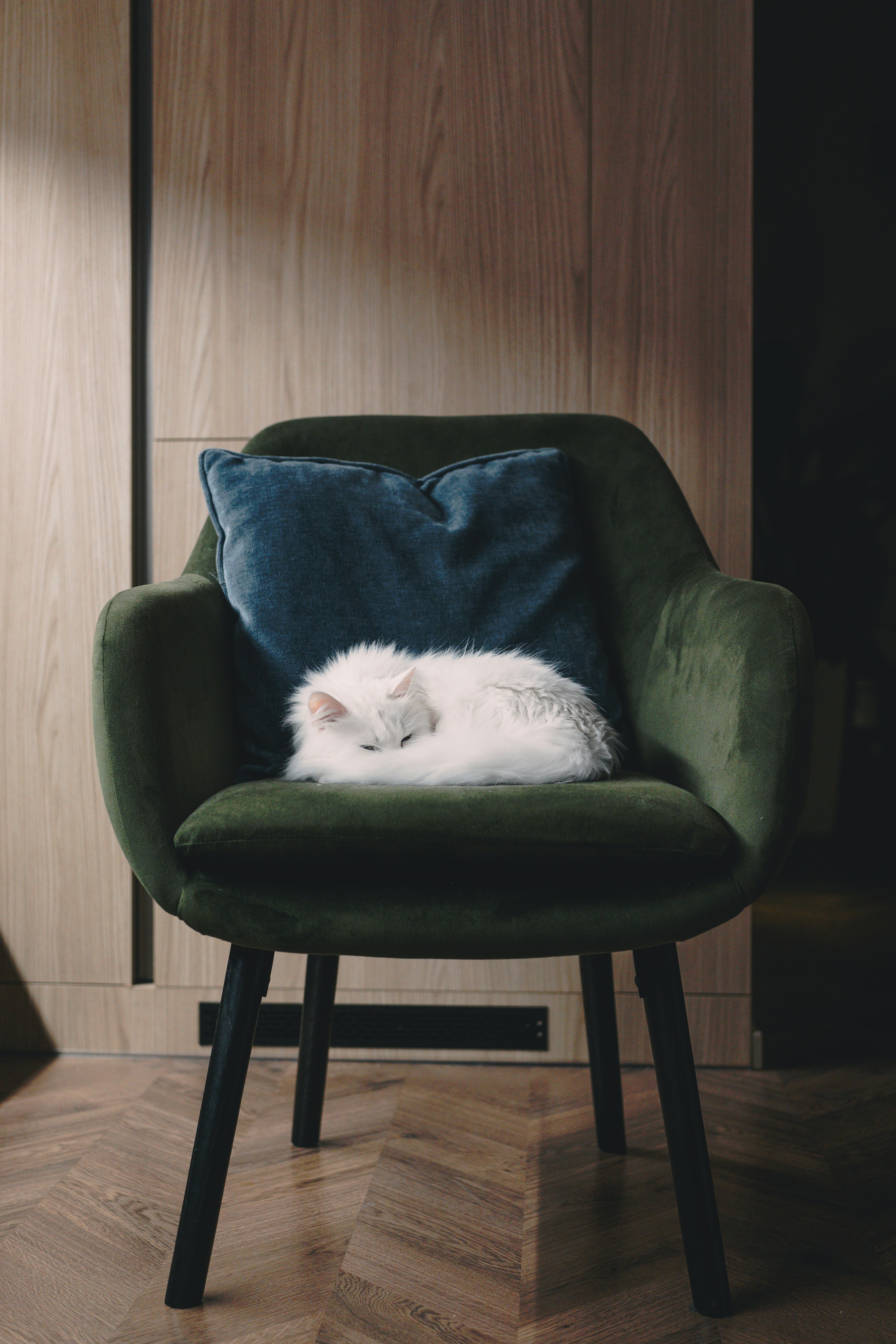Serene Whiskers: A Cozy Retreat