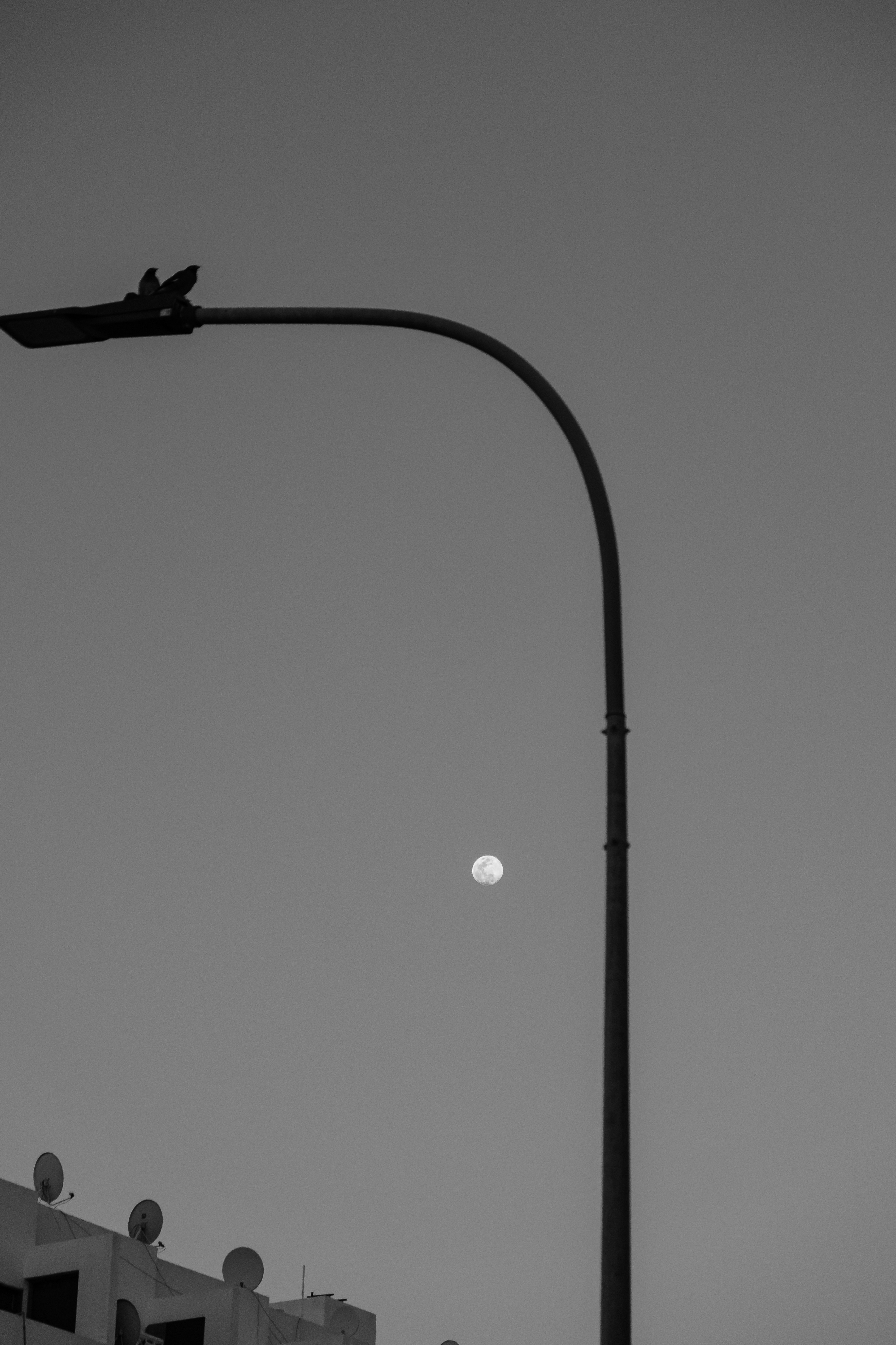 Photo by Husam Harrasi with Fujifilm X-T30 II