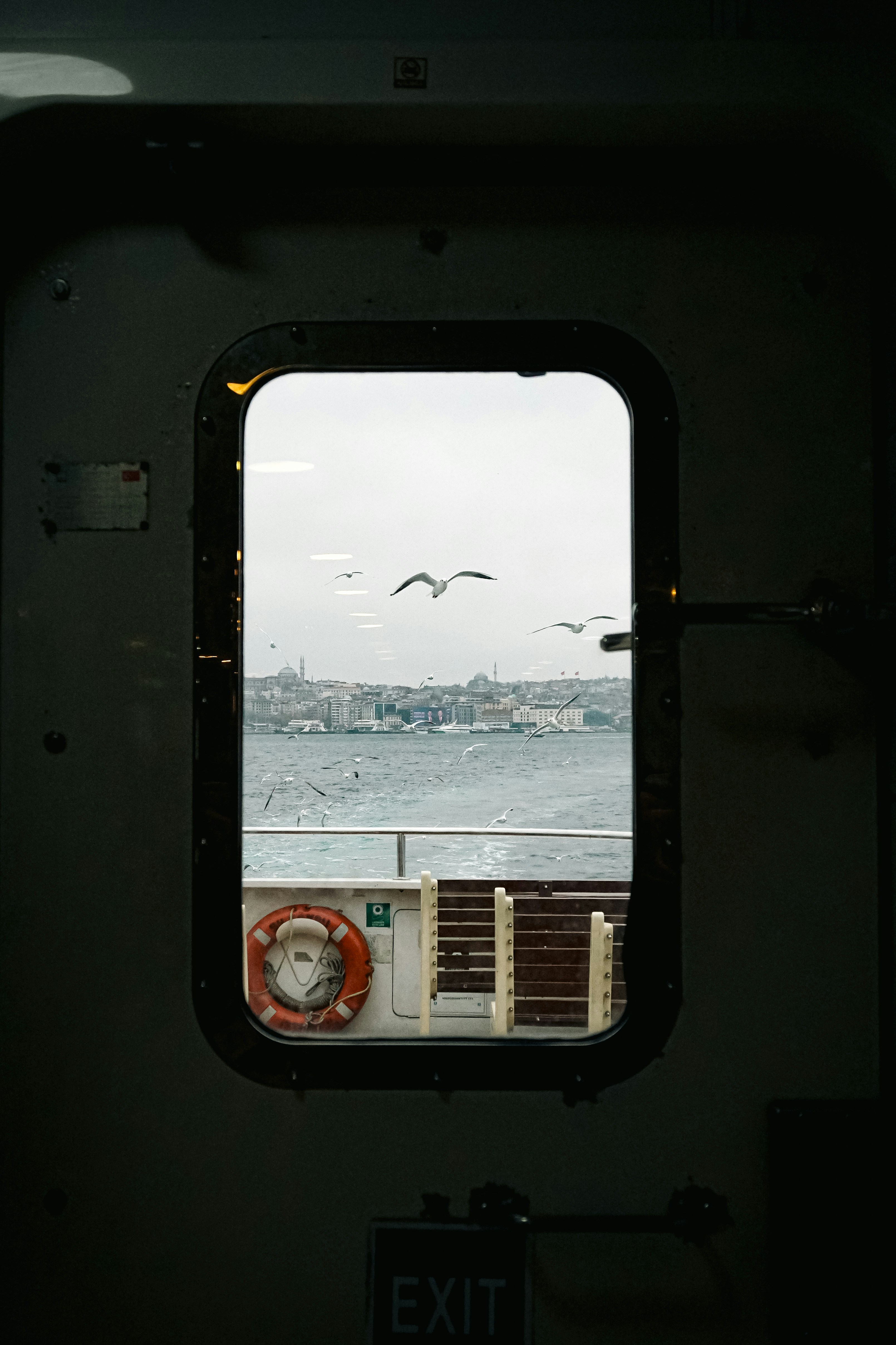 Through the Porthole: Seagulls Over a Quiet Harbor