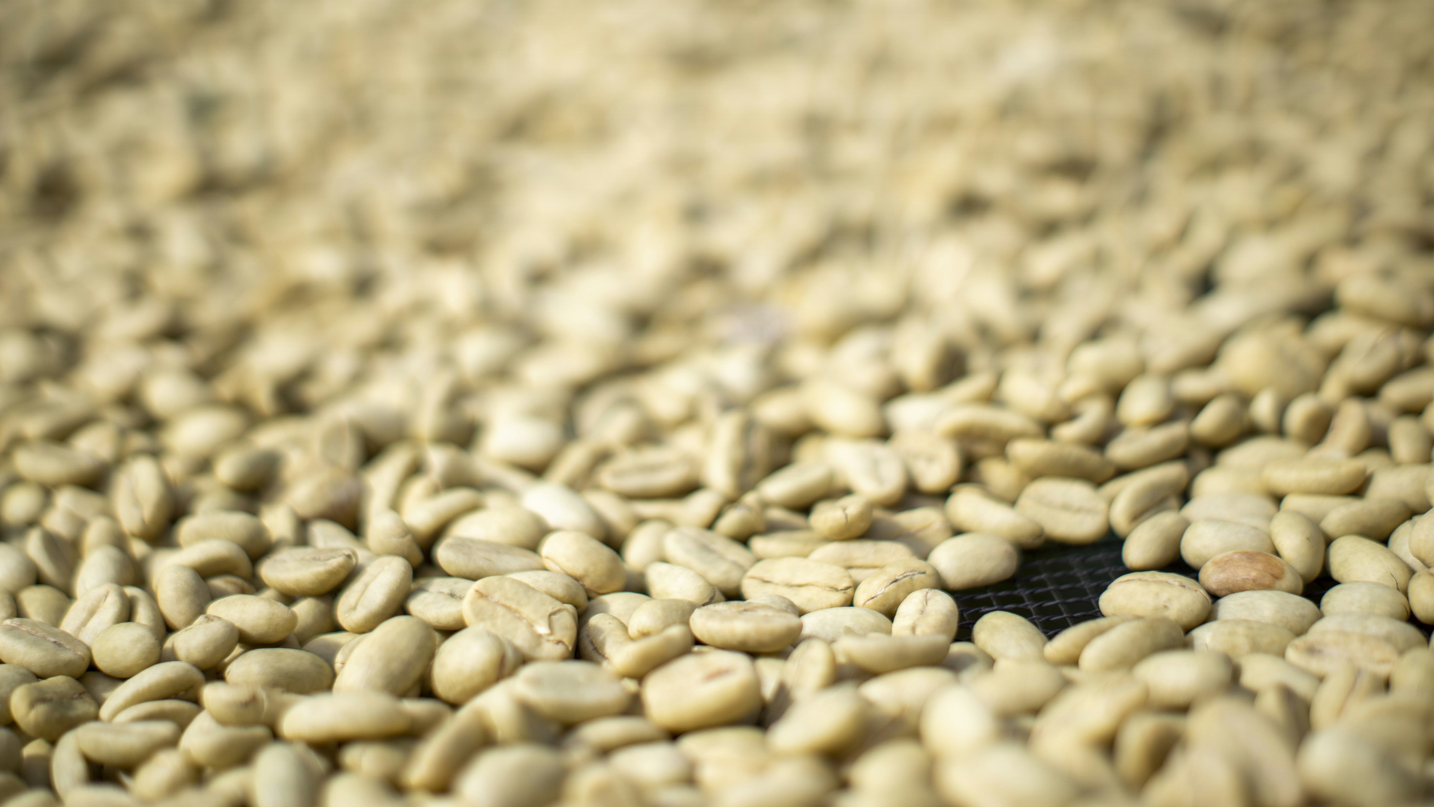 A close up of a bunch of beans photo – Free Food Image on Unsplash