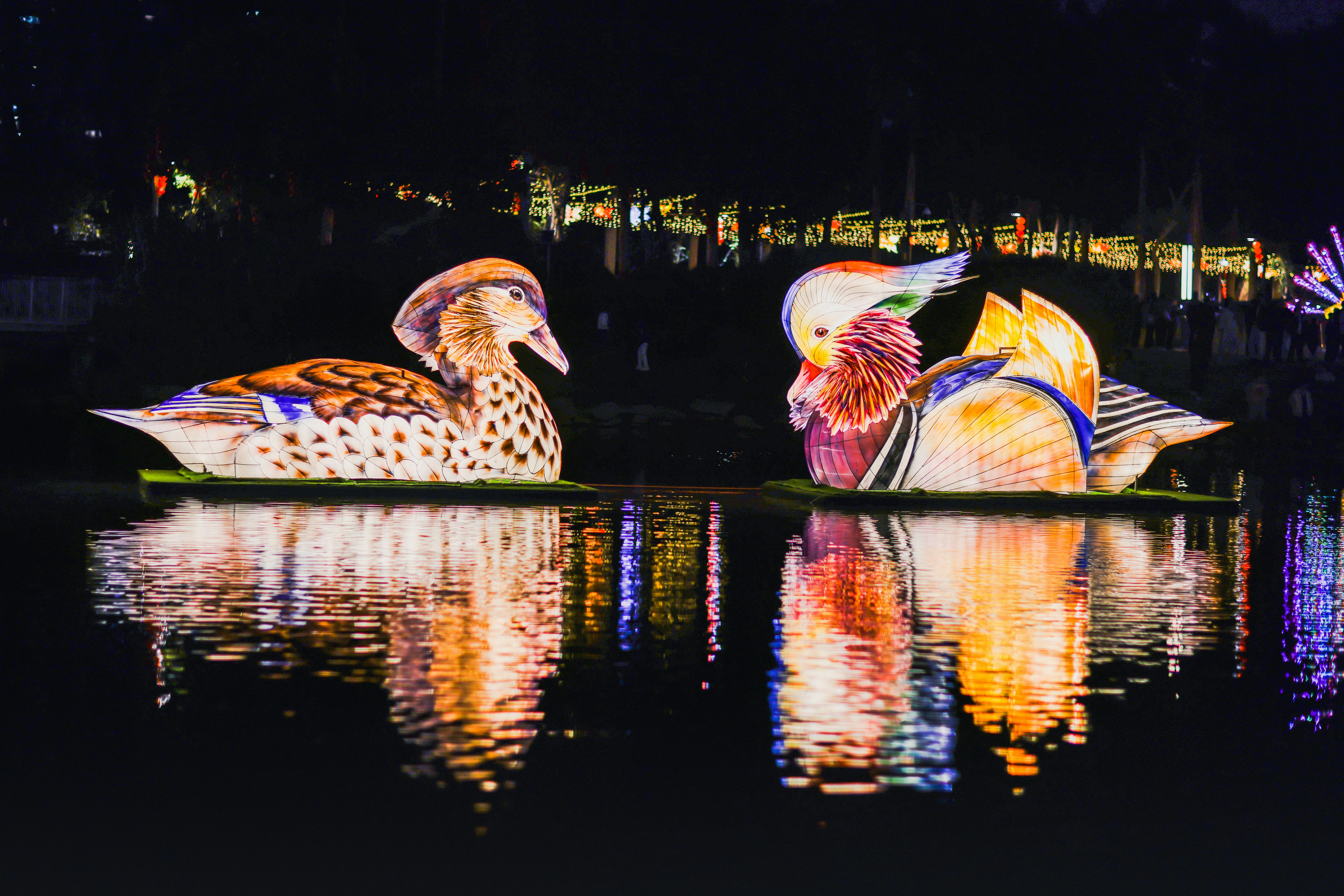 Neon Ducks at Night: Reflections on a Quiet Lake