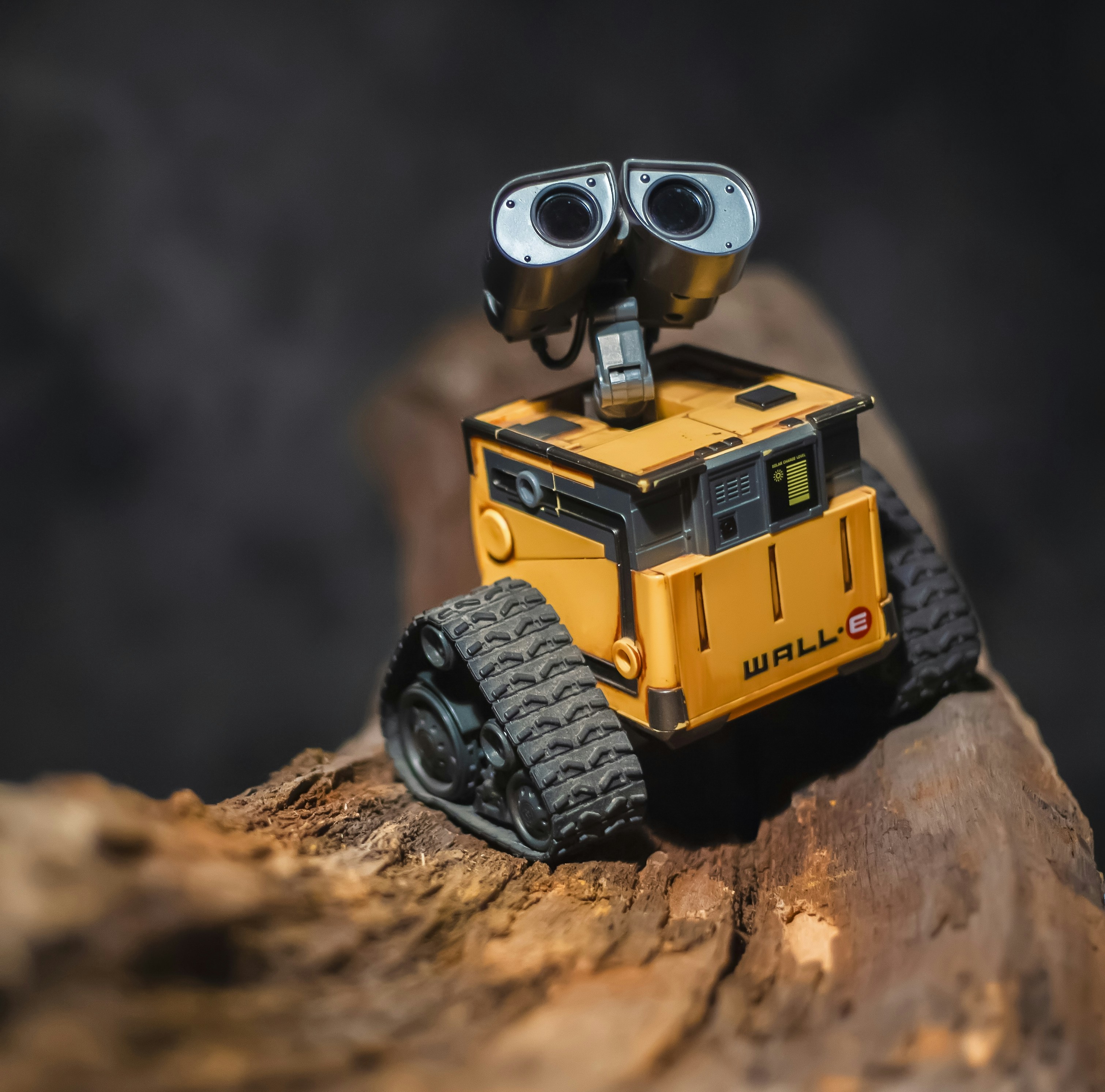 Photo by Jonathan Cosens Photography with Canon EOS-1Ds Mark II