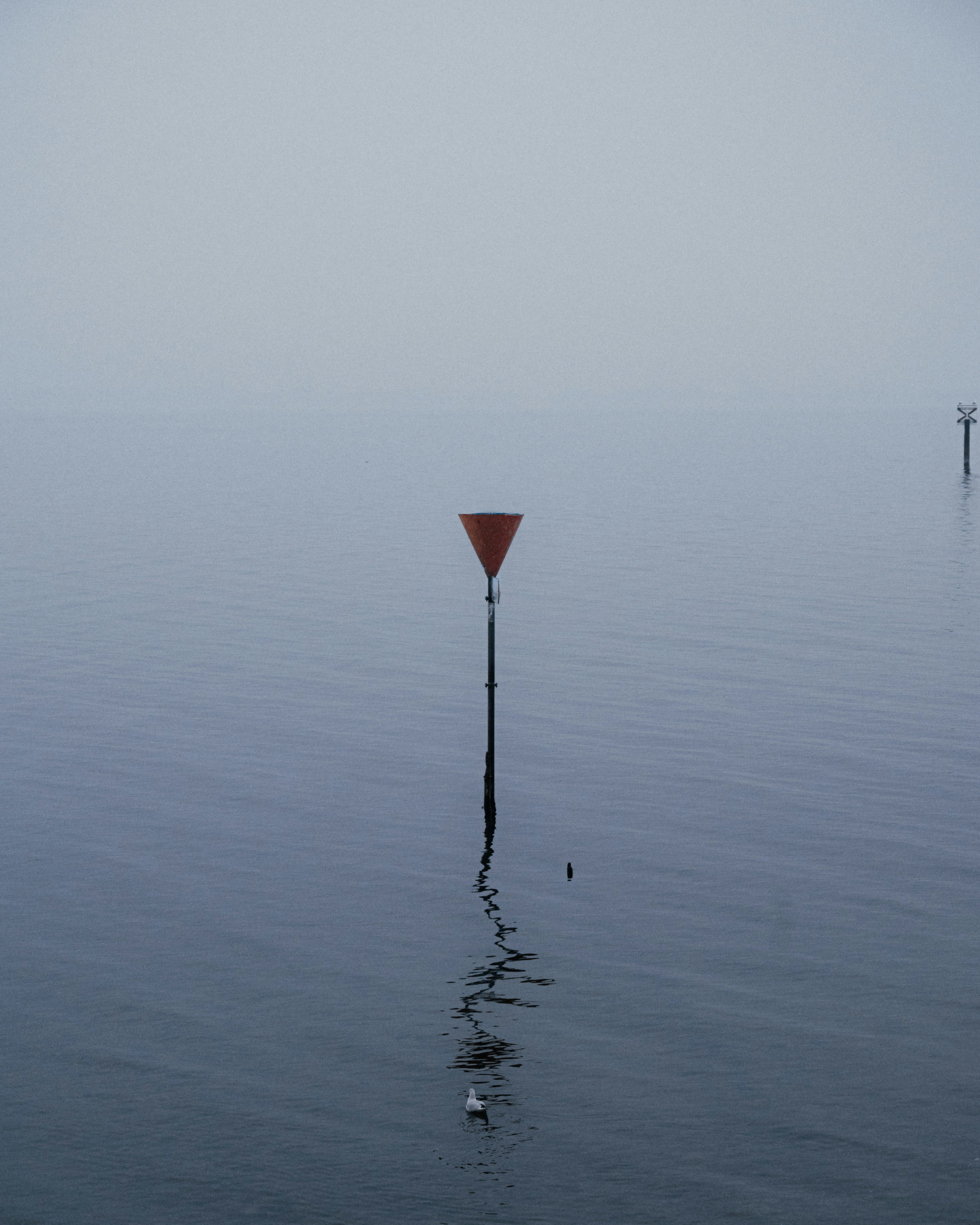 Photo by Luca Severin with Nikon Z6