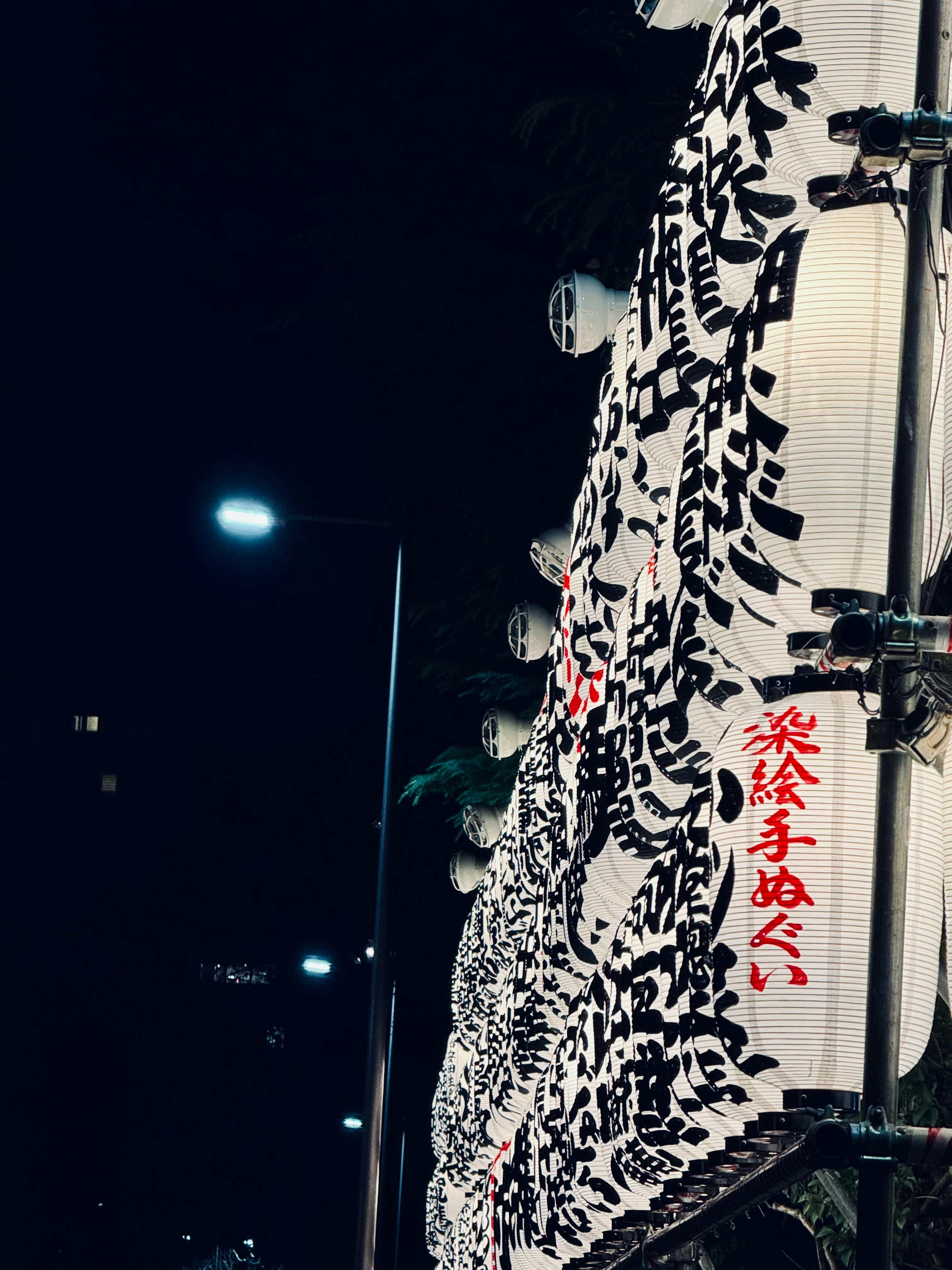 Night Banner Alley: Kanji Lanterns Cast in Neon Light