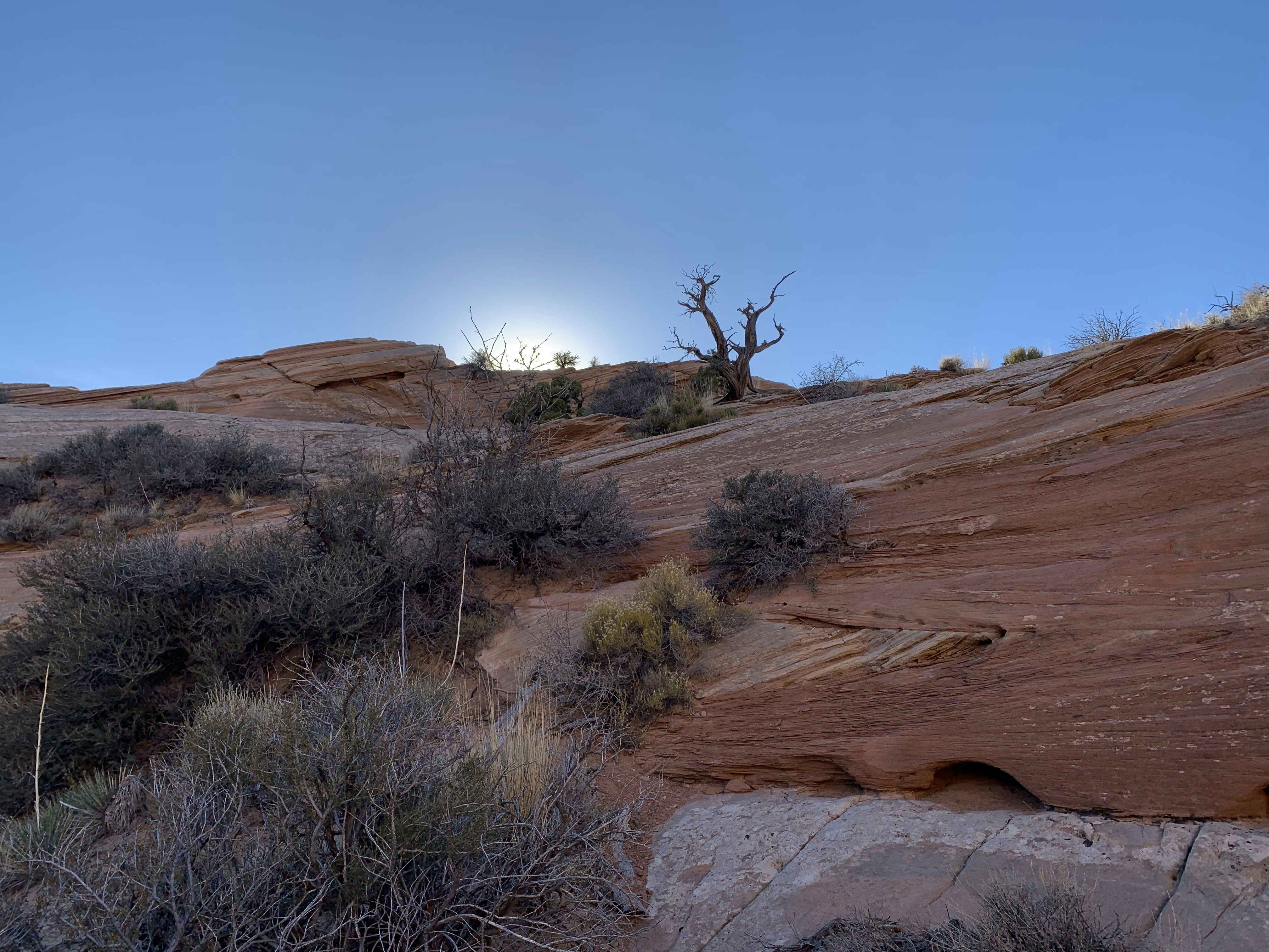 The sun is setting over the desert landscape photo – Free Desert ...