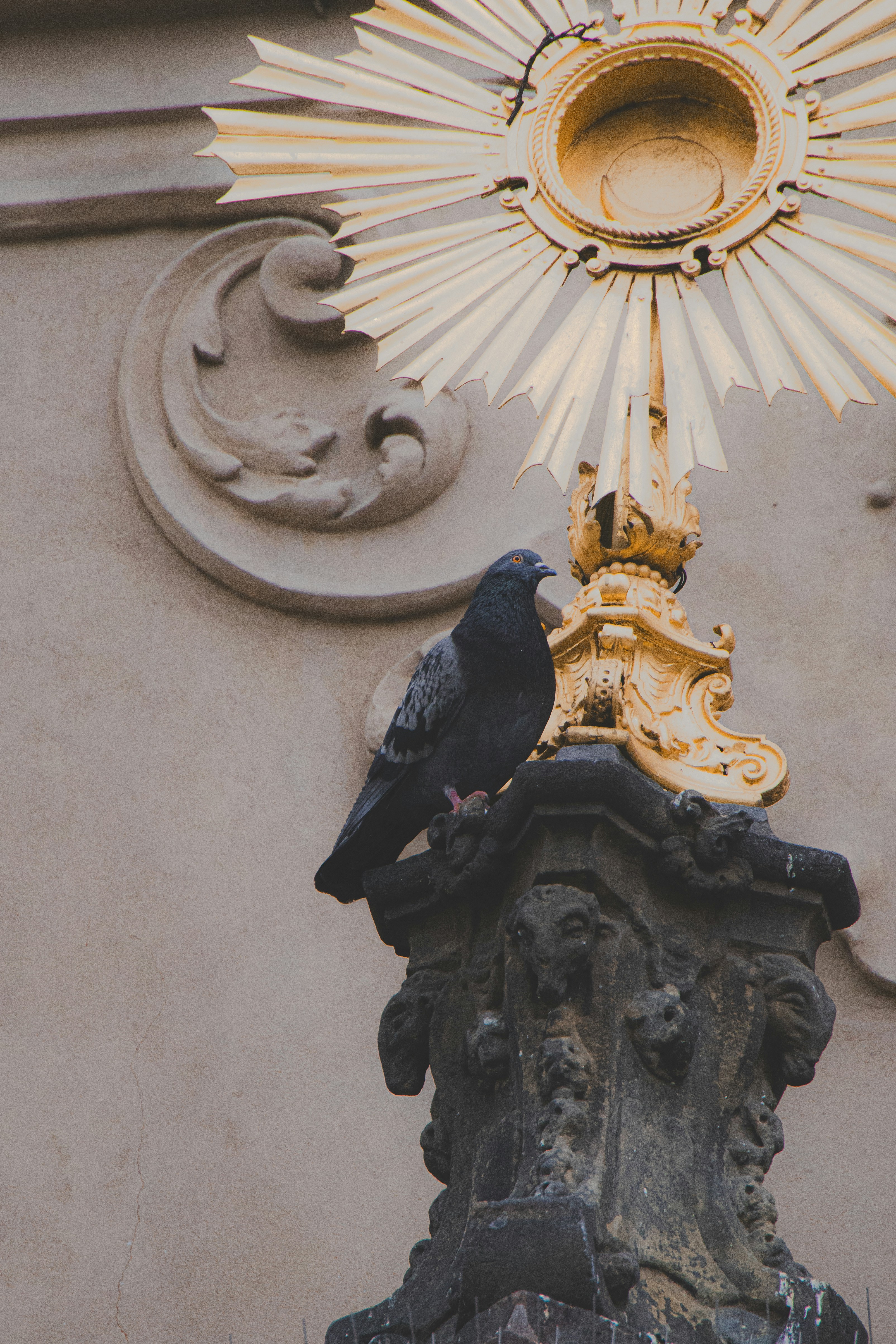 Pigeon perched beneath the gilded sunburst atop a carved stone pedestal