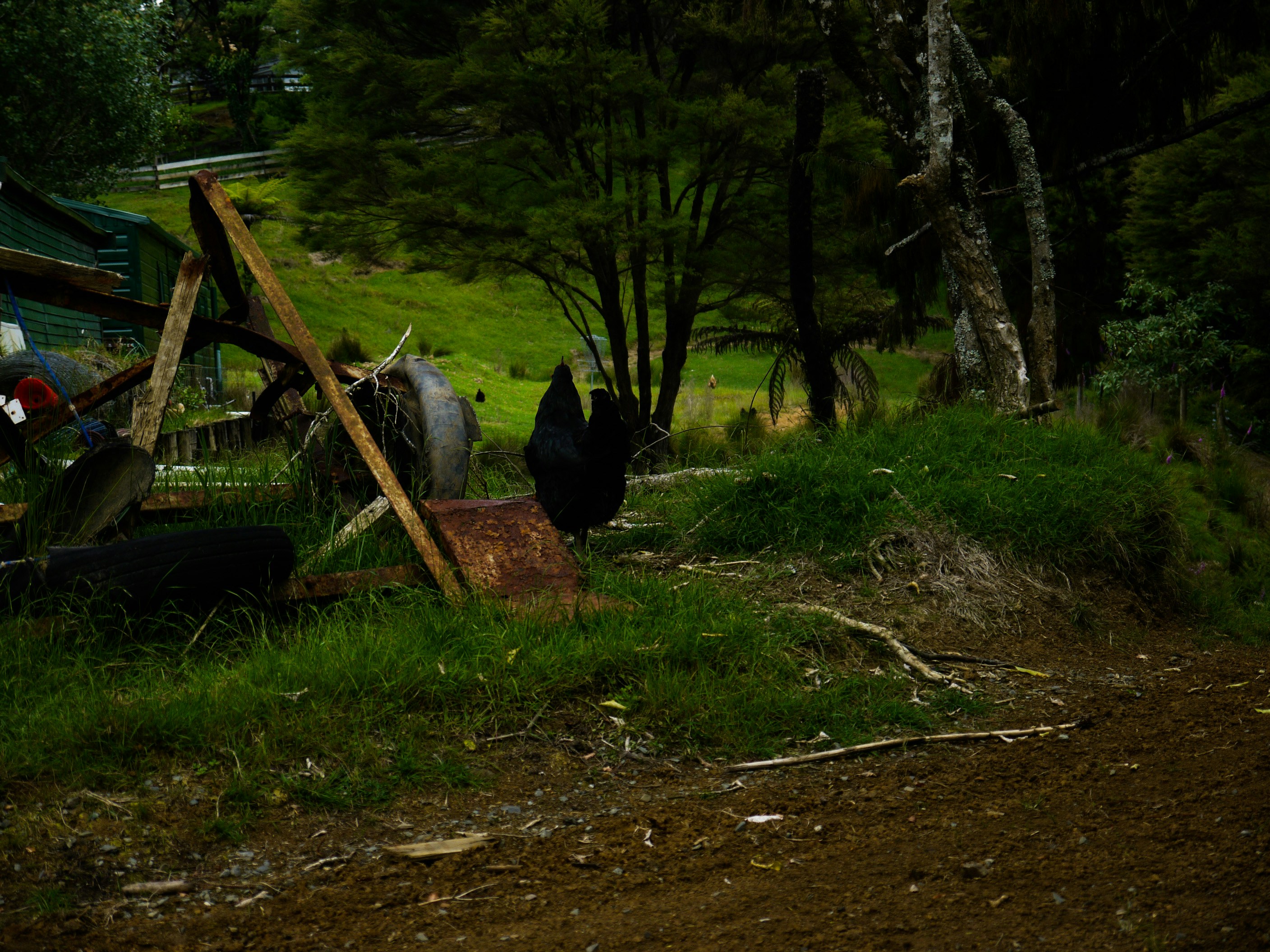 Photo by Rhys Courtney📸 with Panasonic Lumix G2