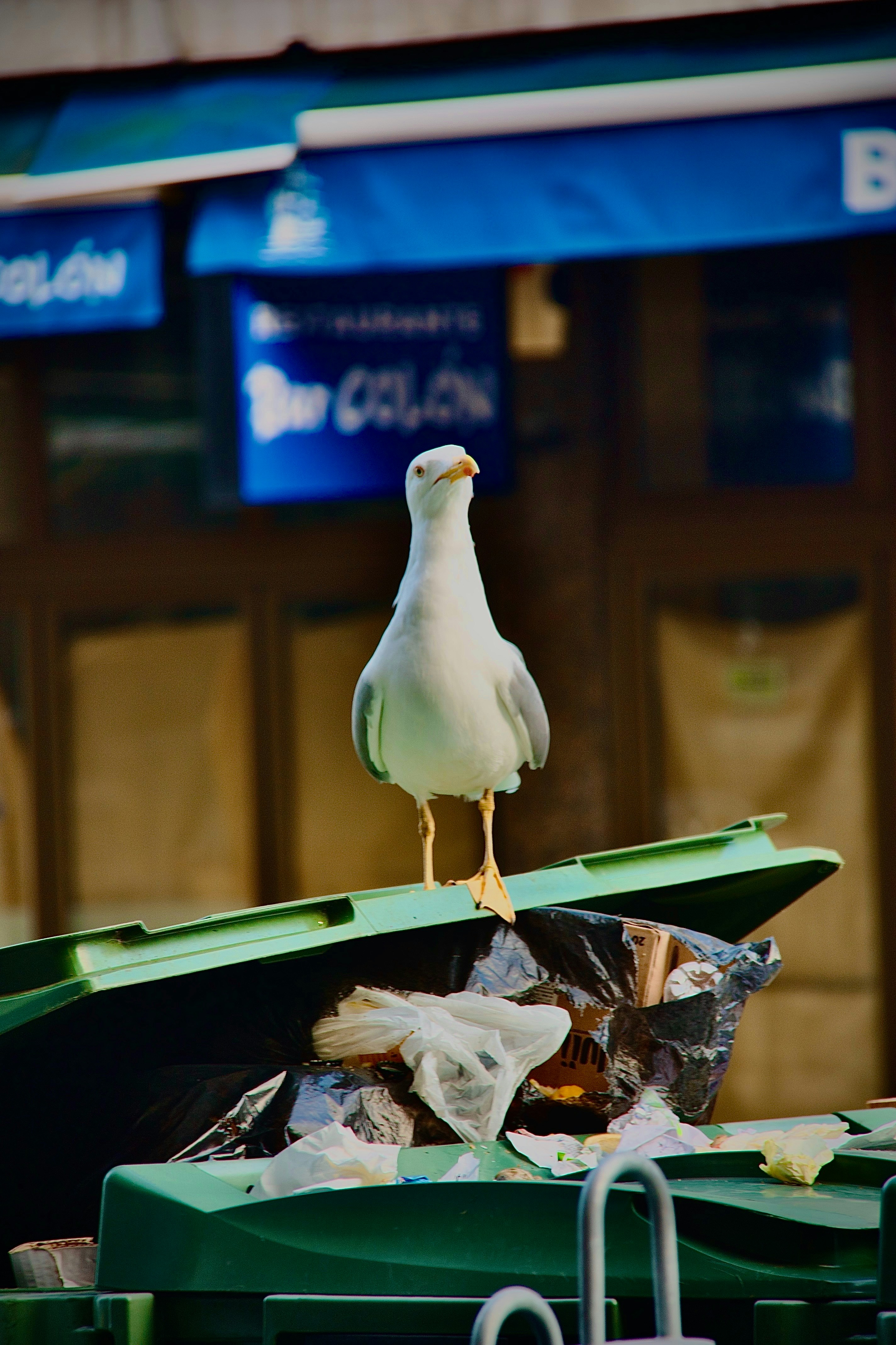 Photo by Pablo Sanchez Cuesta with Canon EOS 450D