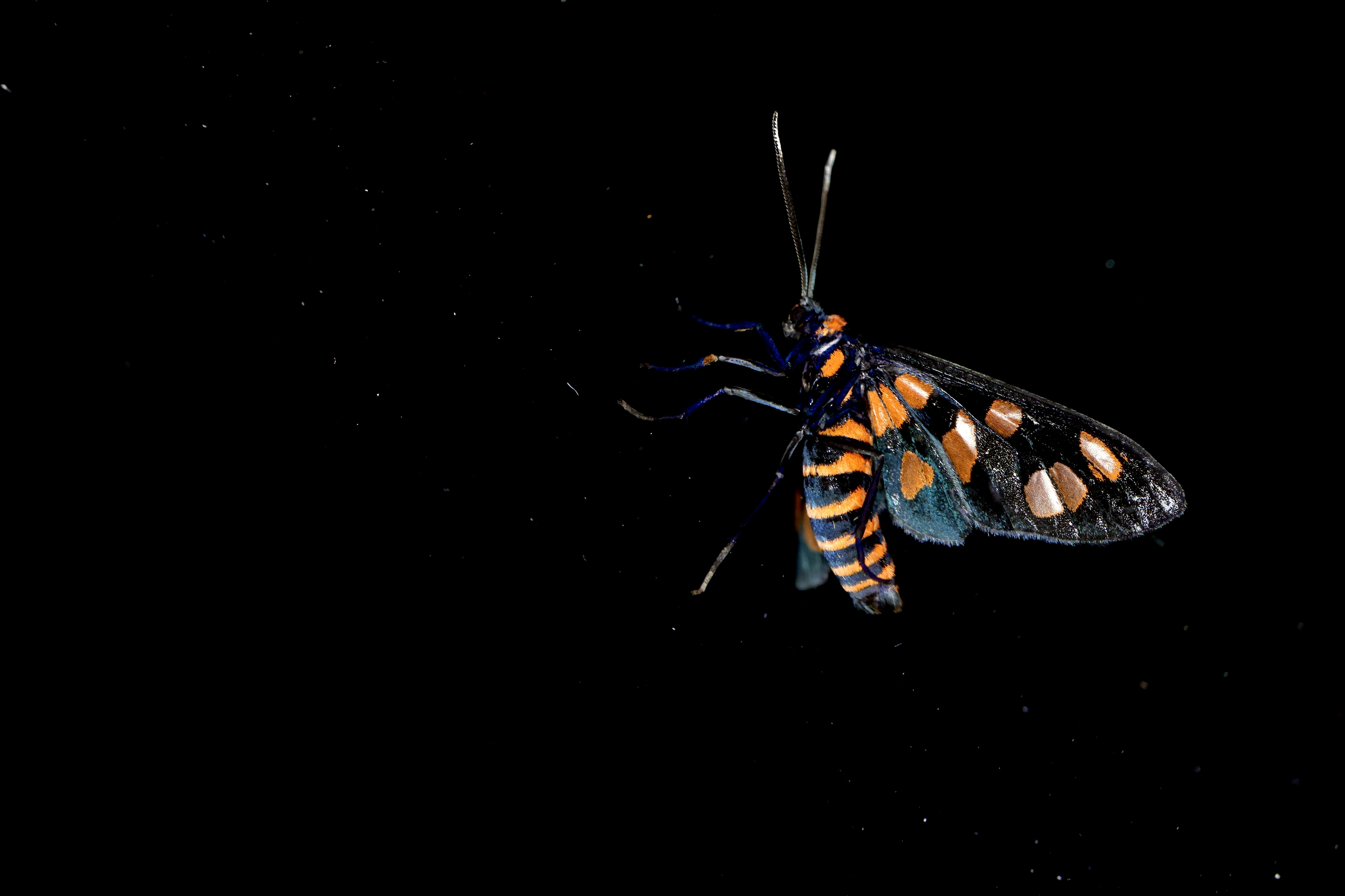 Photo by James Wainscoat with Canon EOS R5