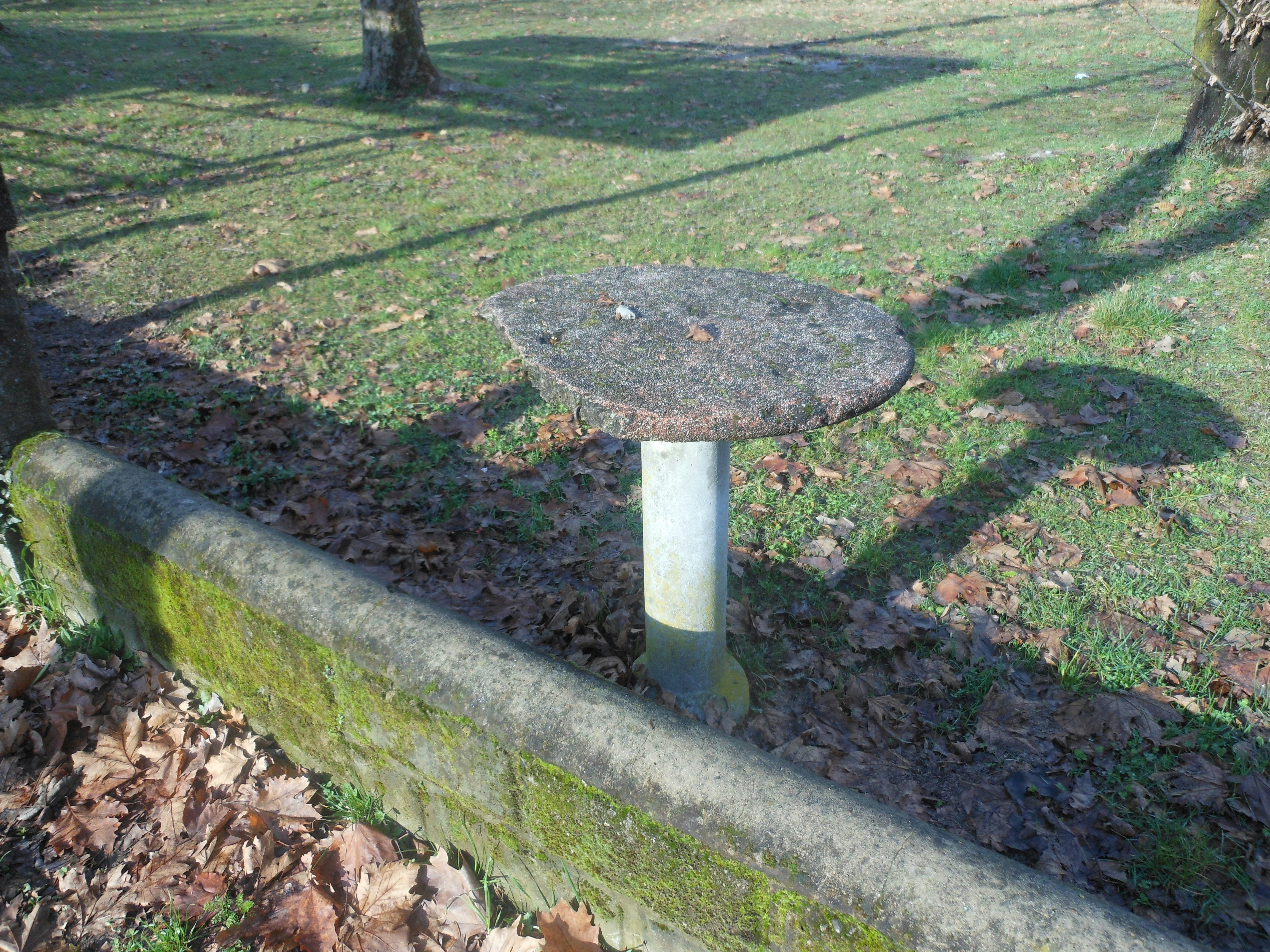Mossy concrete table in a sunlit park