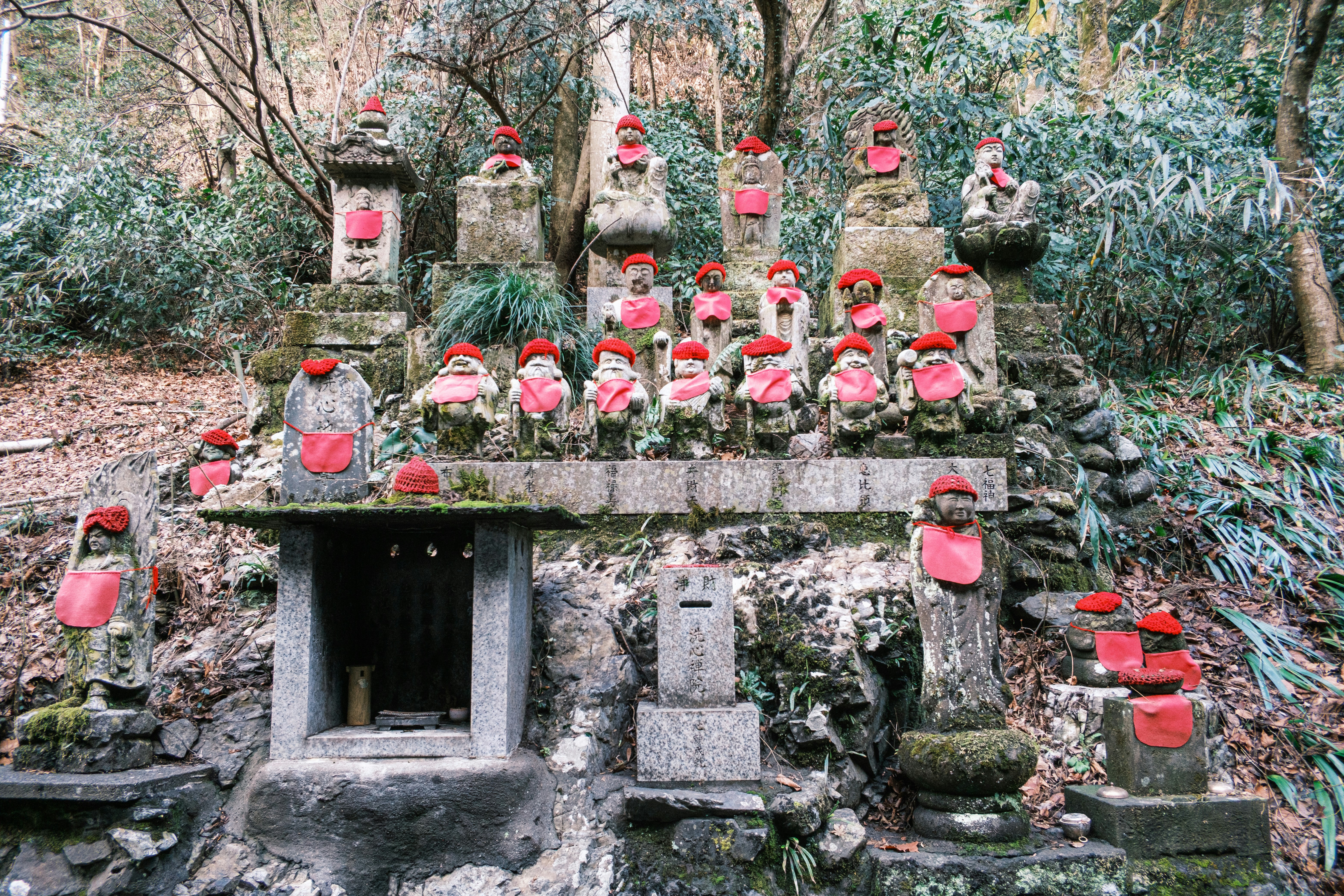 Red-Bibbed Sentinels on a Mossy Shrine Terrace