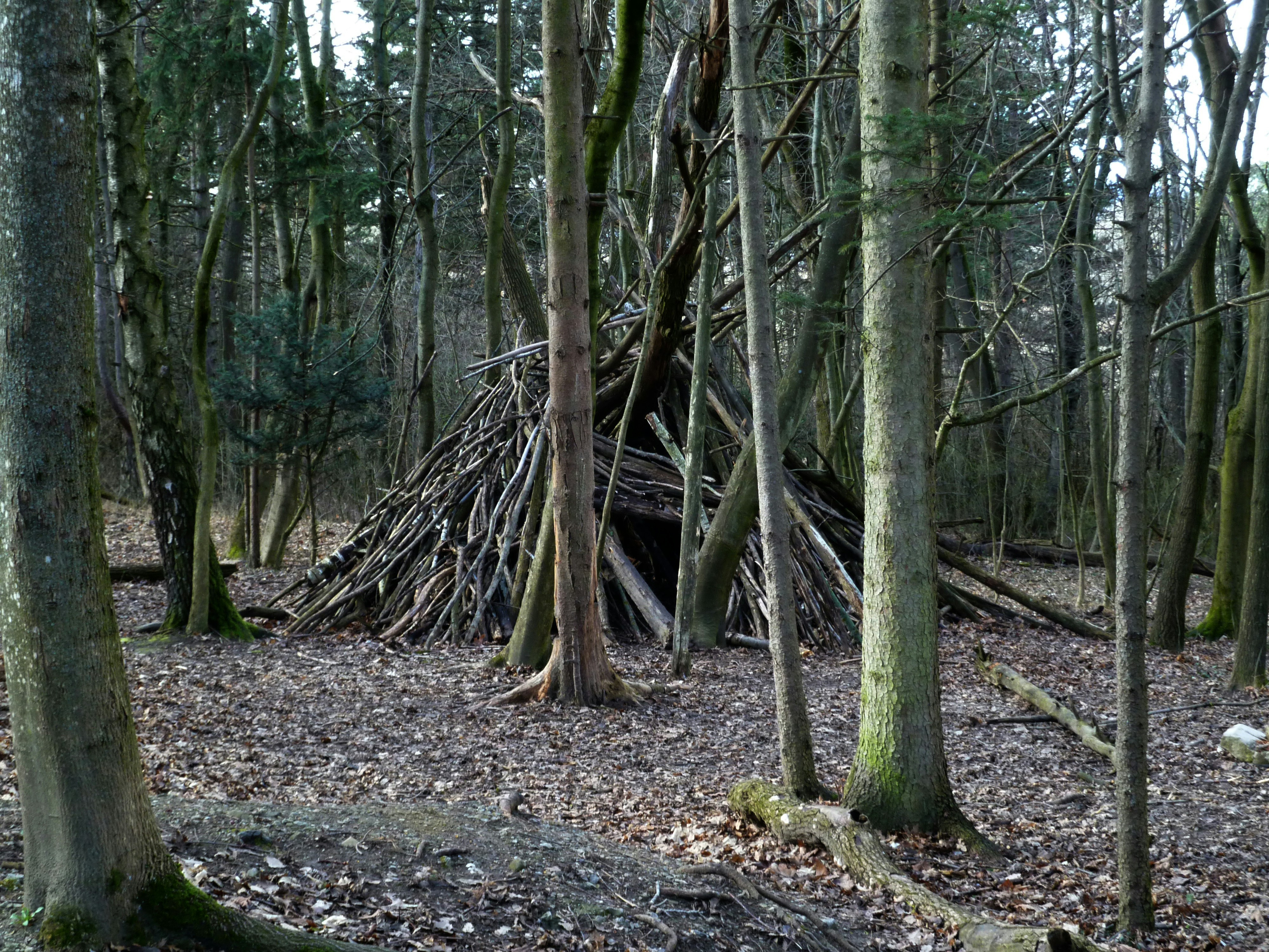Typisches Lager im Wald, gebaut von Kindern
