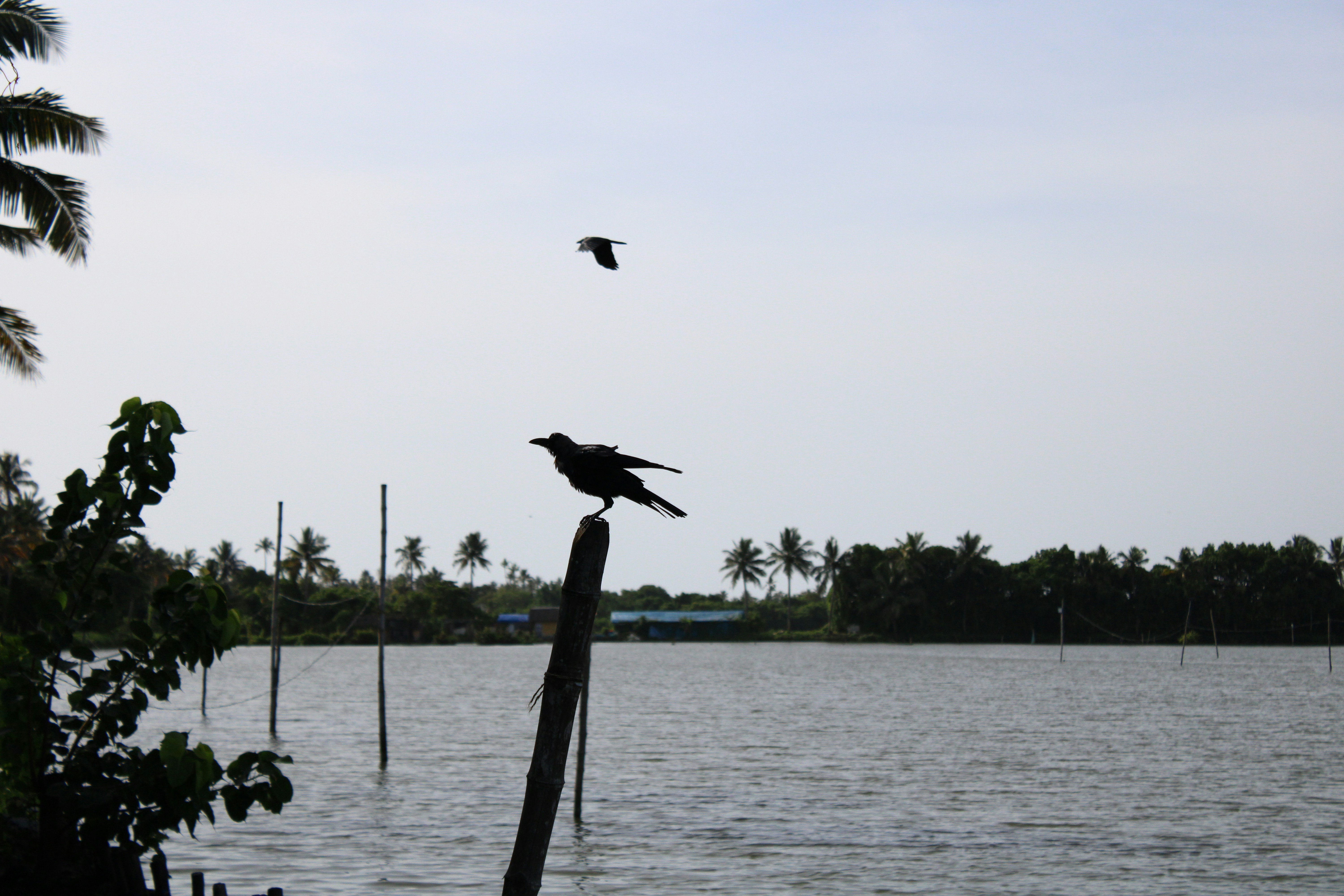 Photo by Abey John with Canon EOS 2000D