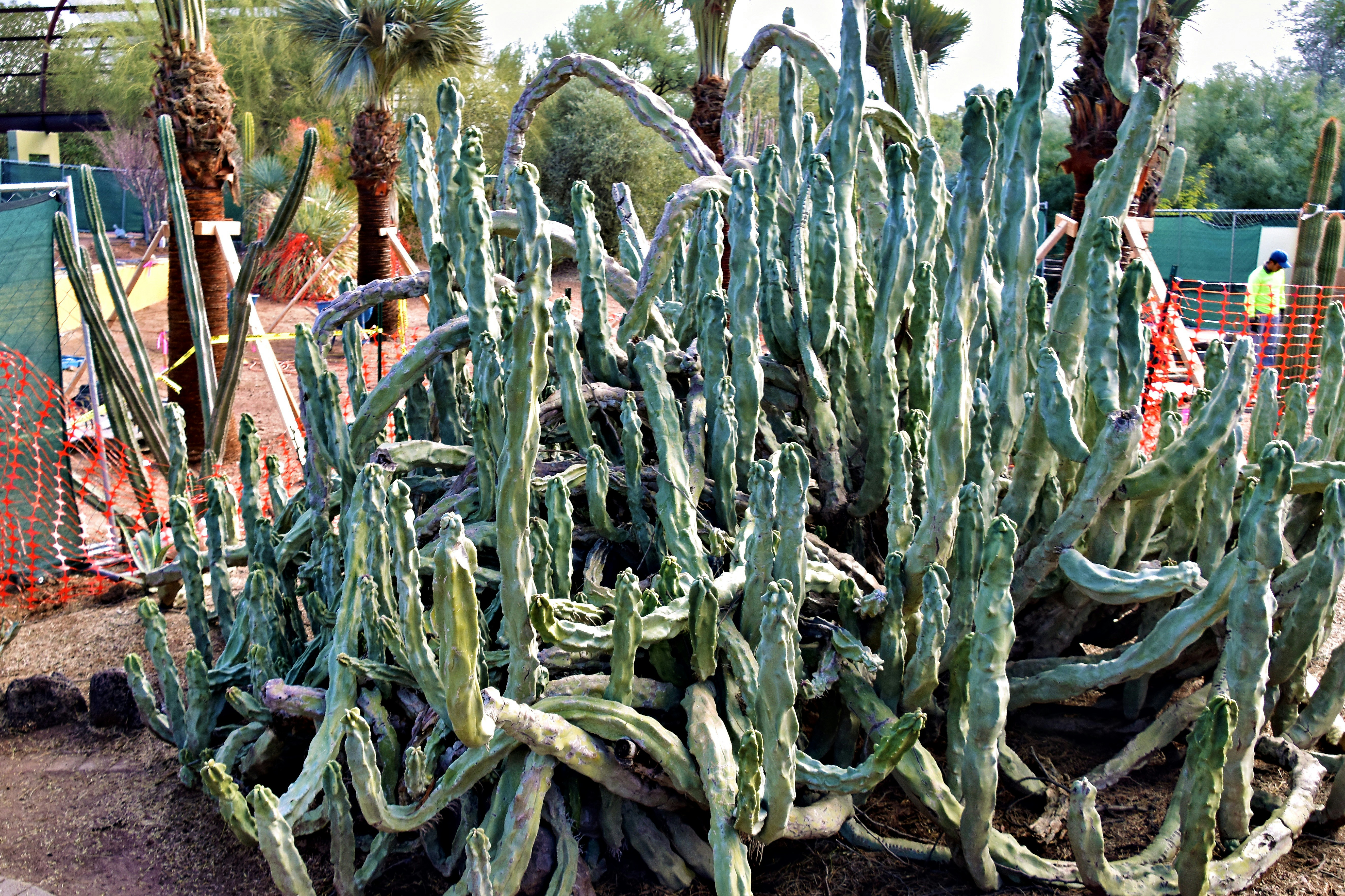 Photo by Jeffrey Eisen with Nikon D5600