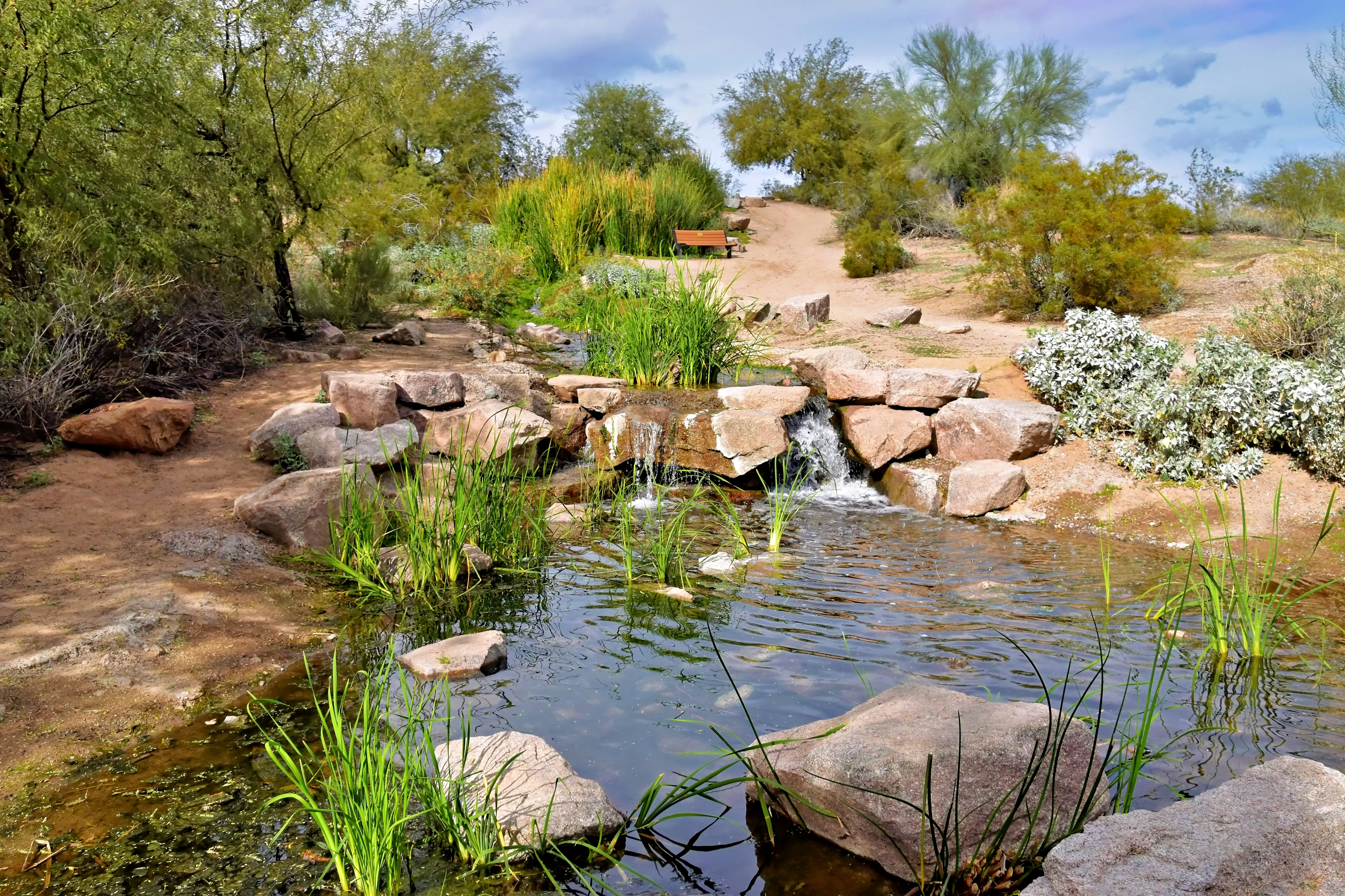 A small pond surrounded by rocks and plants photo – Free Arizona Image ...